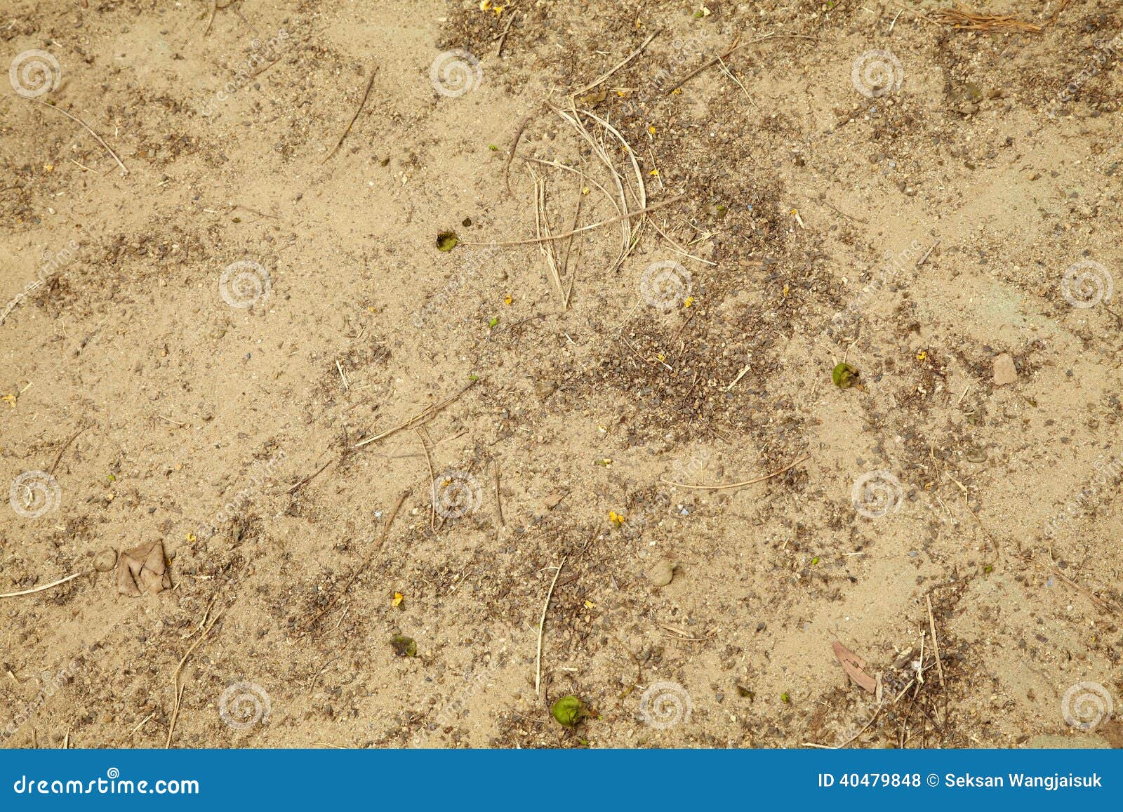 Dirty Sand Texture Floor,background Royalty-Free Stock Photo ...