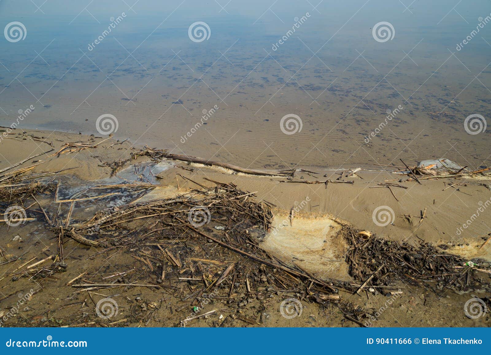 Dirty Sandy Shore of Spring River Stock Photo - Image of lake ...