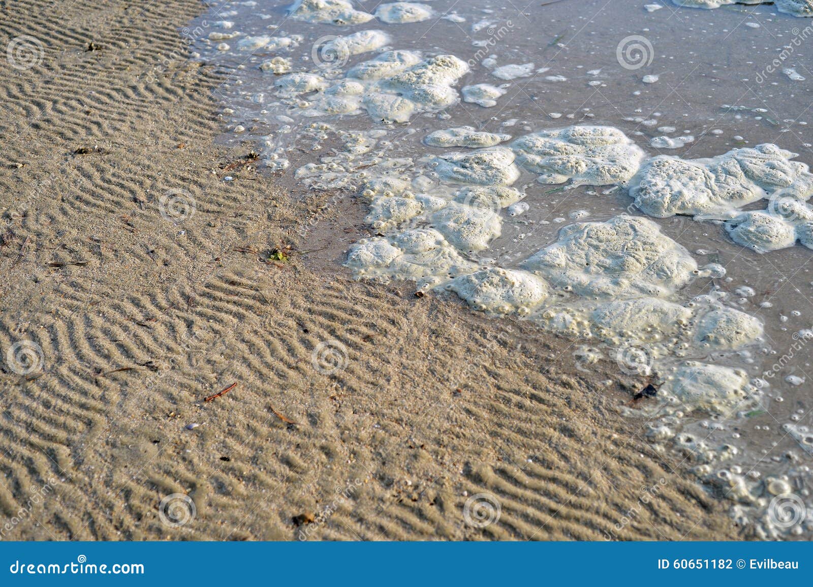 Dirty Sea stock photo. Image of contaminated, refuse - 60651182