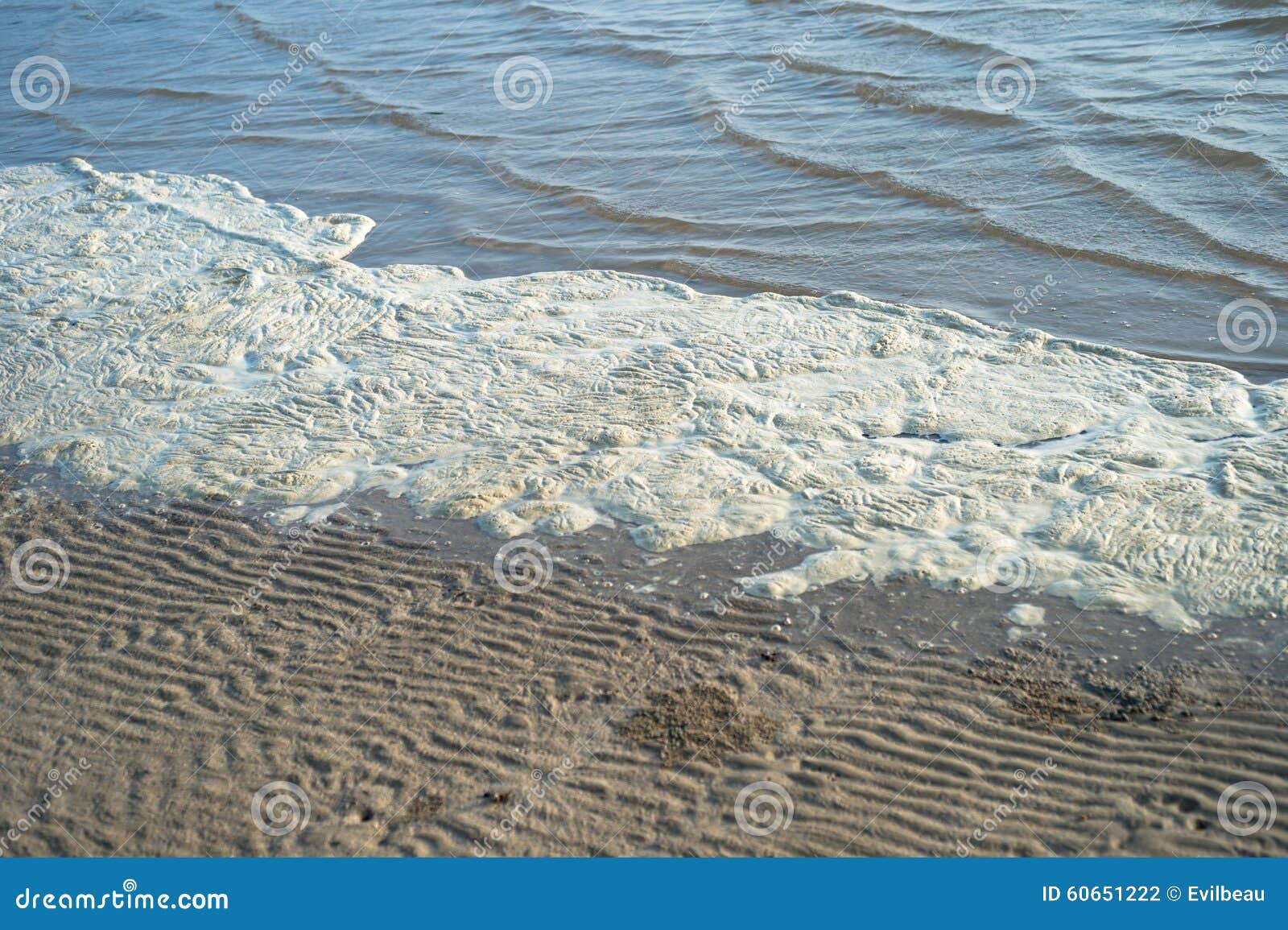 Dirty Sea stock photo. Image of contamination, messy - 60651222