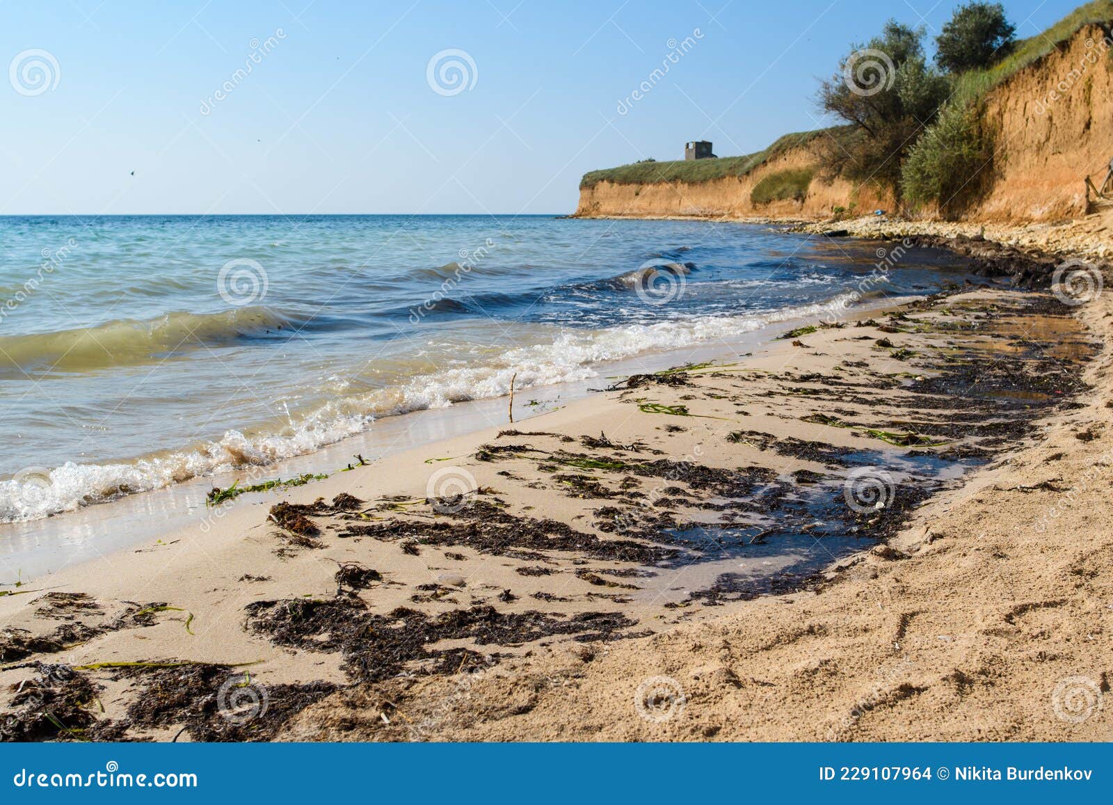 Dirty Sea Shore with Black Rotten Algae after a Storm Stock Photo ...