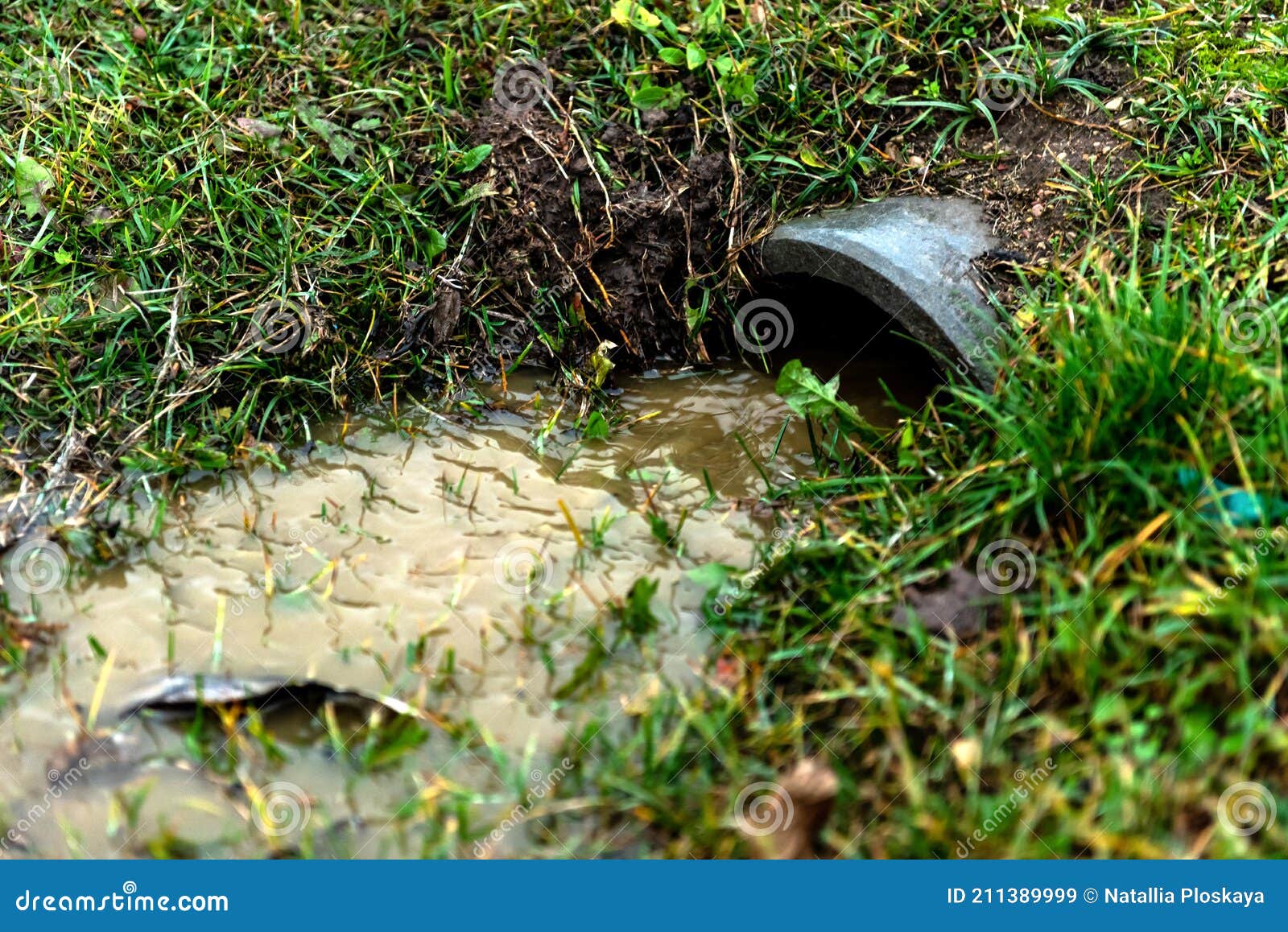 Dirty Sewage from the Pipe, Environmental Pollution Stock Image - Image ...