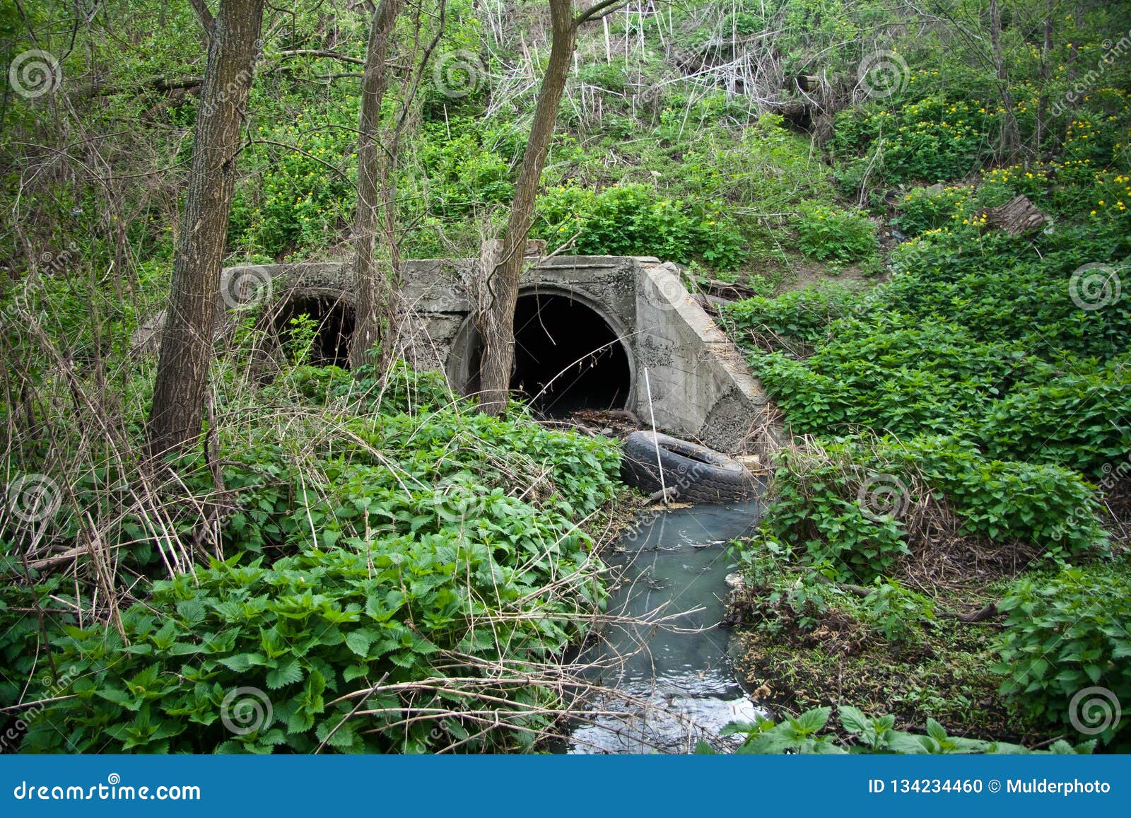 Dirty Sewage Stream Flowing from Sewer Tunnel Stock Photo - Image of ...
