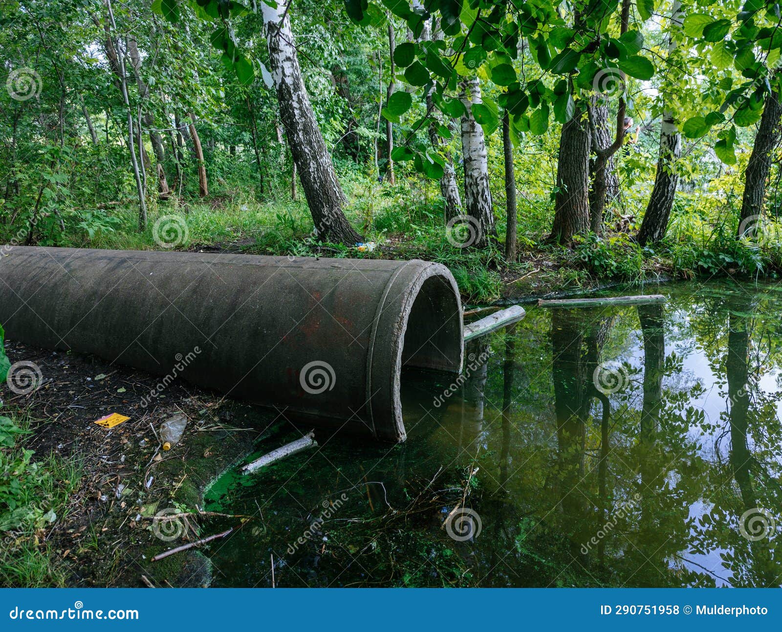 Dirty Sewage Water Flows into the River from Pipe, Environmental ...