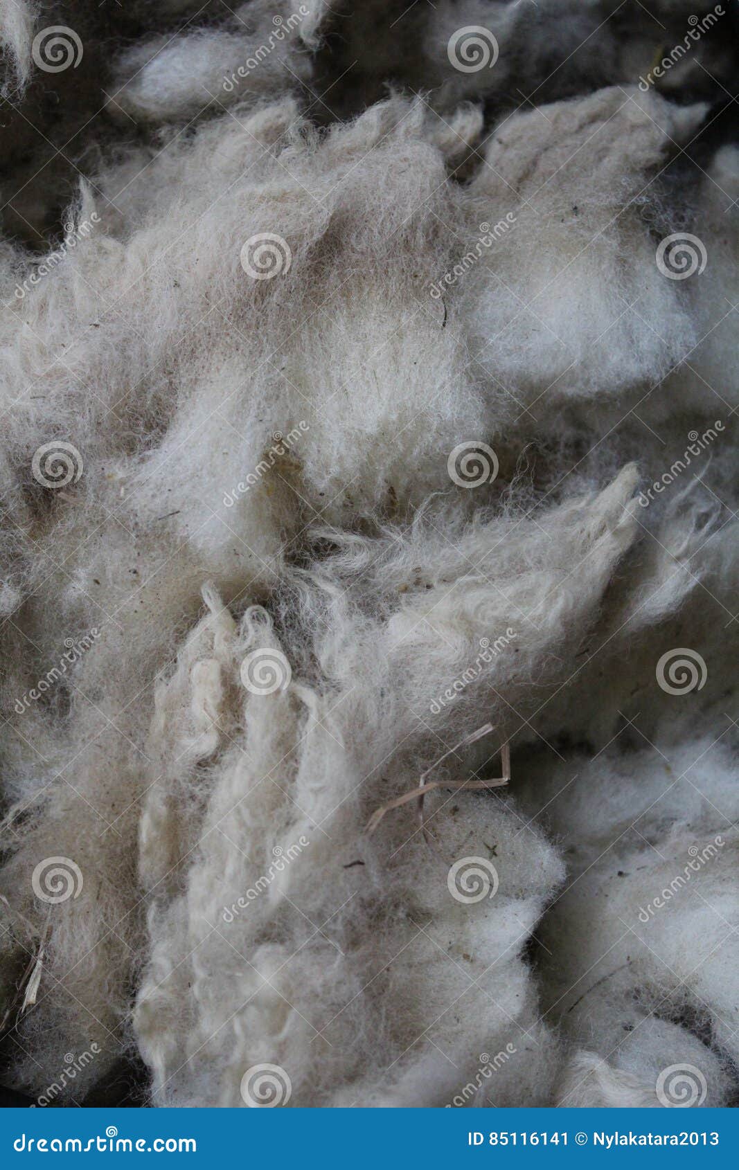 Dirty sheep wool stock image. Image of picking, fiber - 85116141