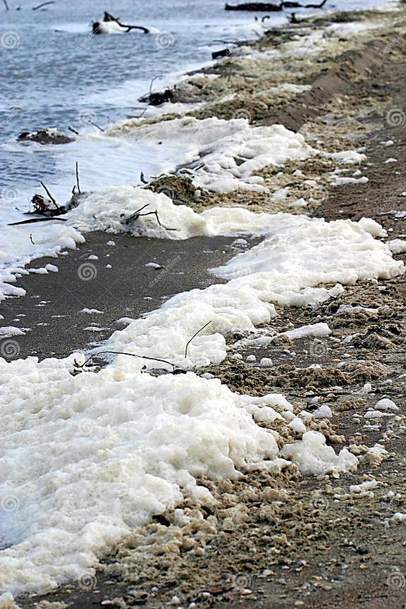 Dirty Shoreline stock photo. Image of shoreline, foam, shore - 37828