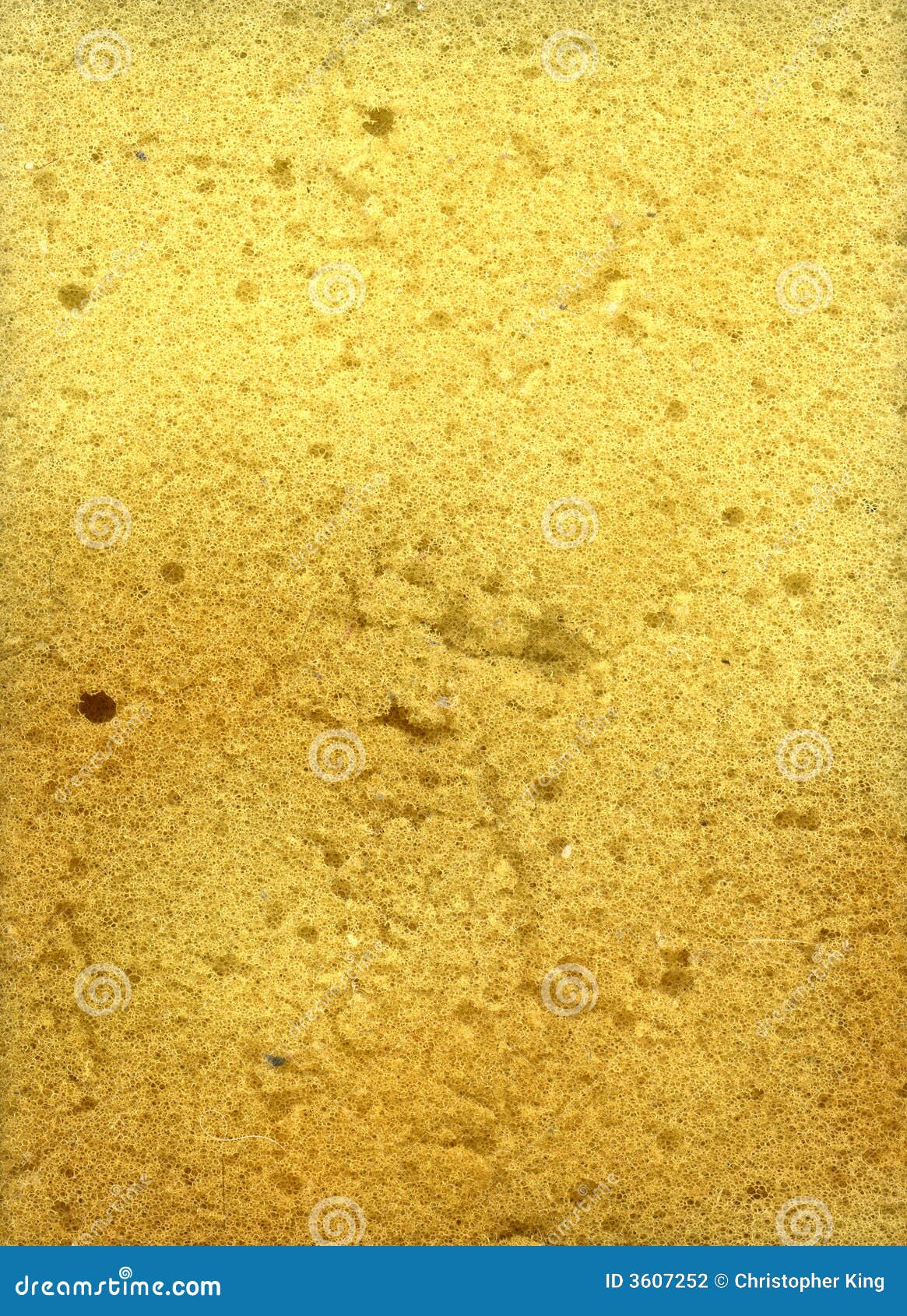 1,879 Dirty Sponge Texture Photos - Free & Royalty-Free Stock Photos ...