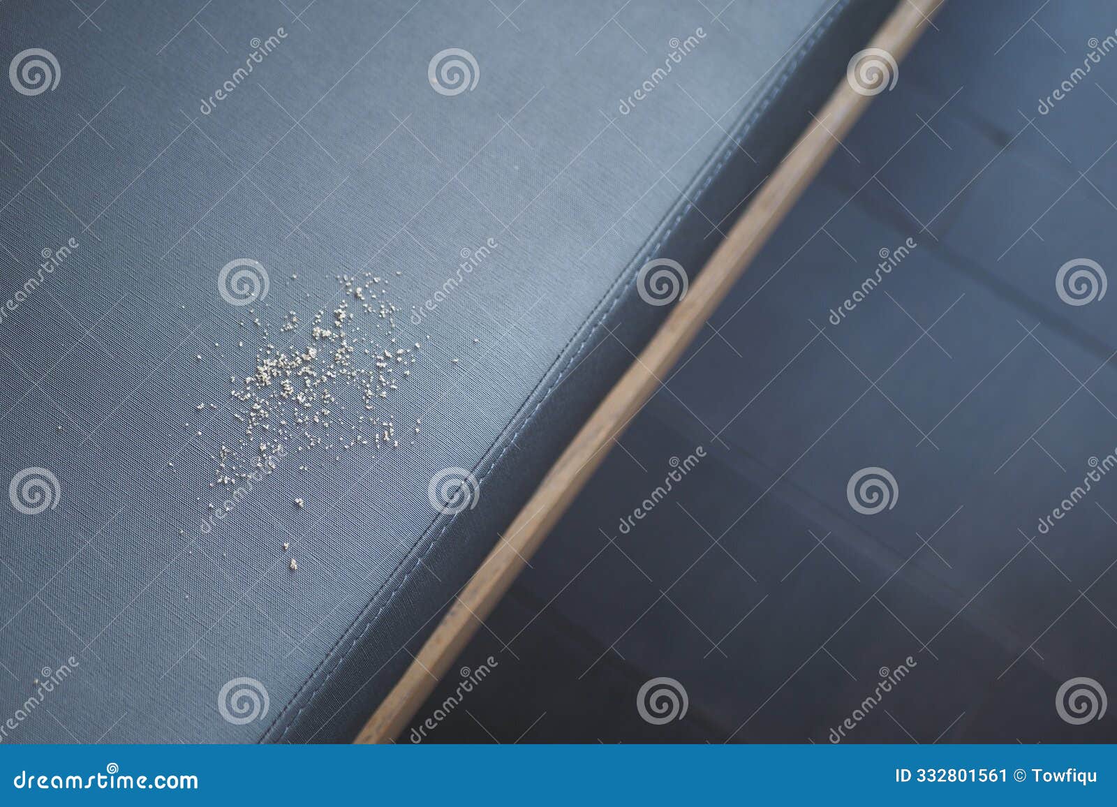 Dirty Stain or Dust on a Sofa Stock Image - Image of seat, style: 332801561