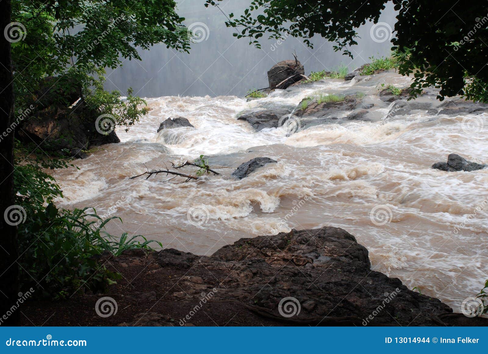 Stream River Creeks Converging Flowing Together Through Summer Green ...