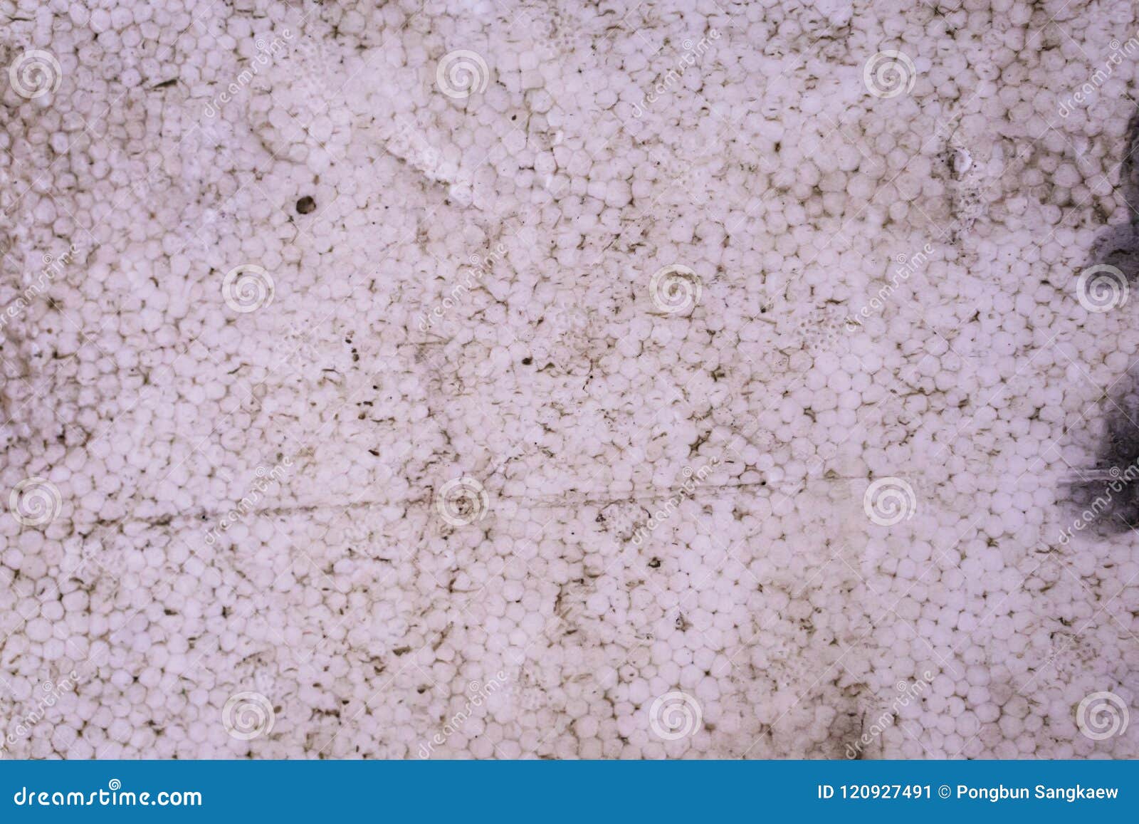 Dirty Styrofoam ,foam , Polystyrene Texture Stock Image - Image of ...