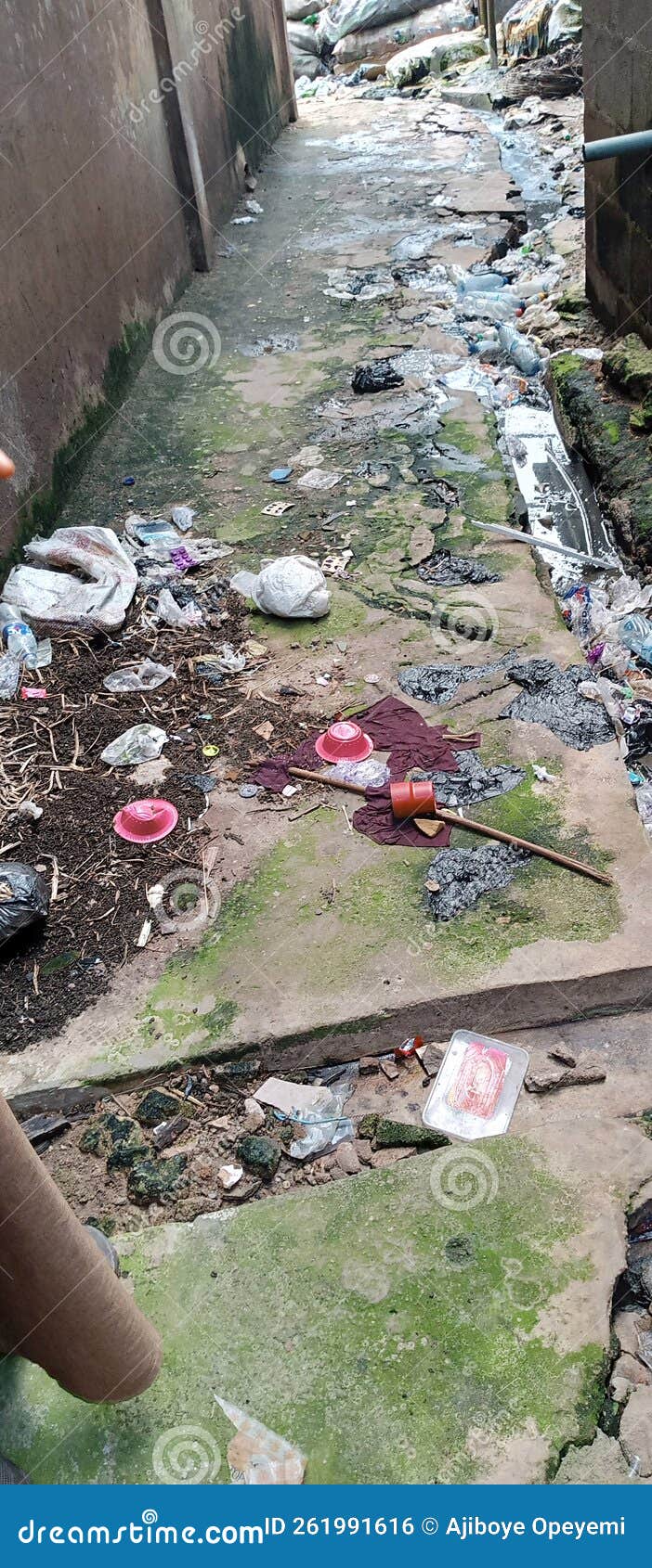 Dirty Surrounding in a Living Premises Stock Photo - Image of aliving ...