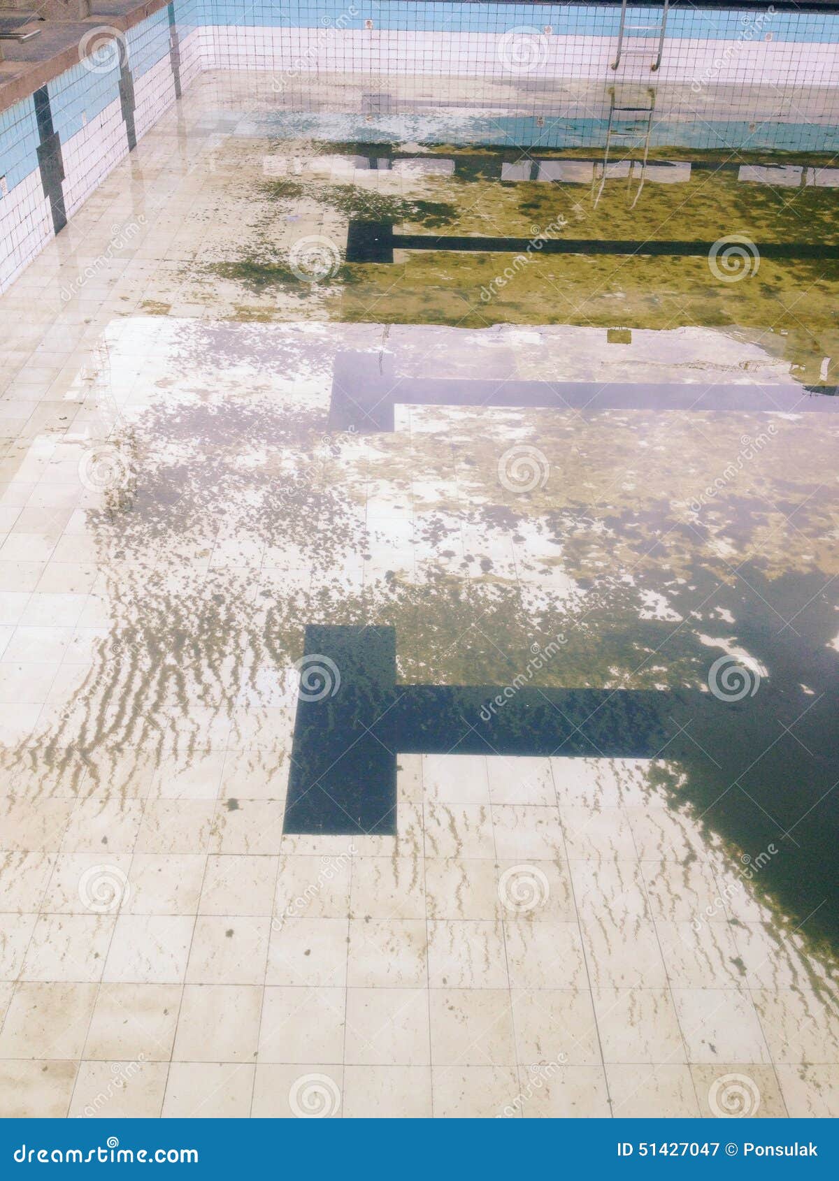 Dirty swimming pool stock image. Image of activity, outdoors - 51427047