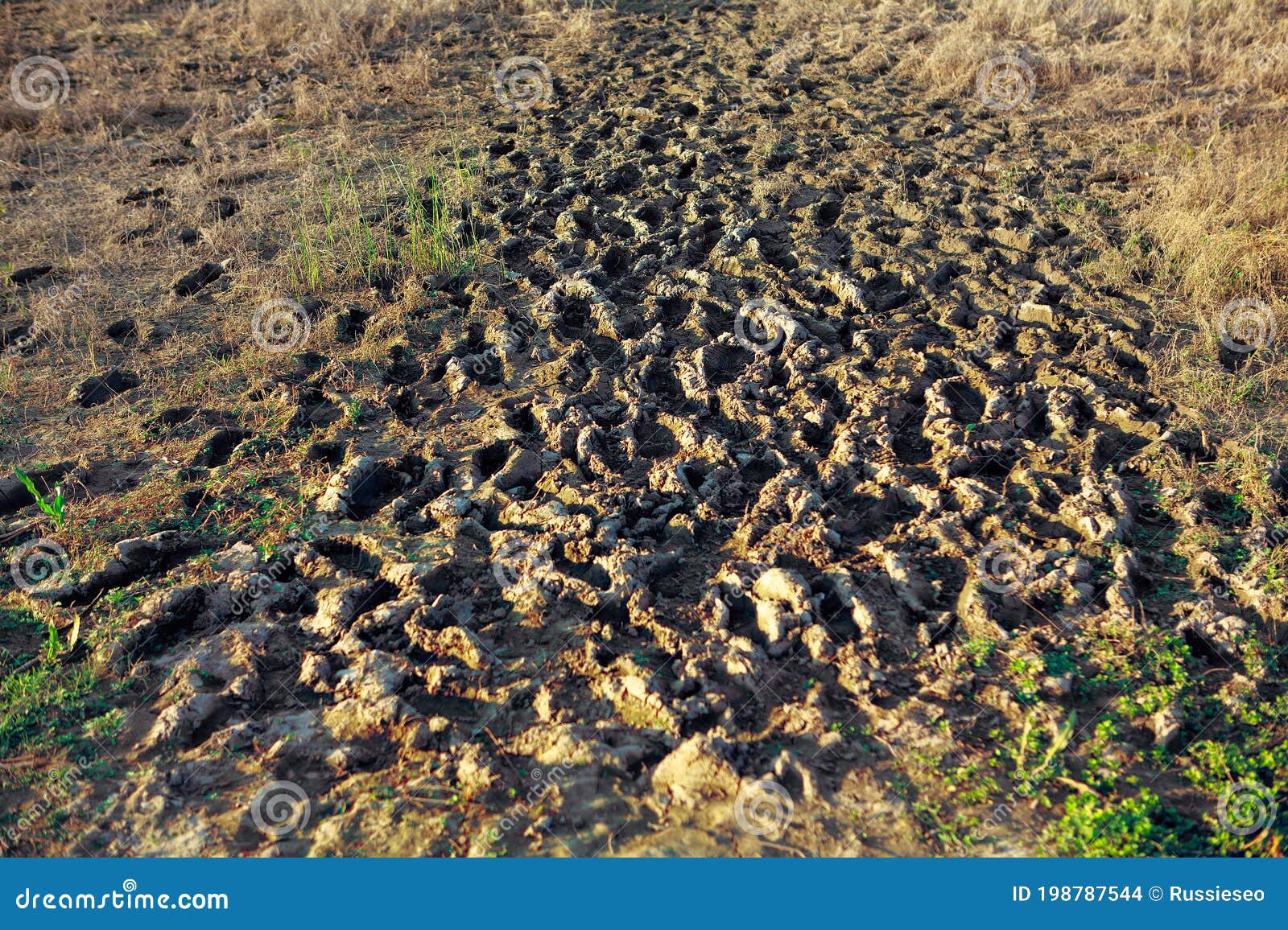 Dirty terrain stock photo. Image of plash, grot, gunk - 198787544