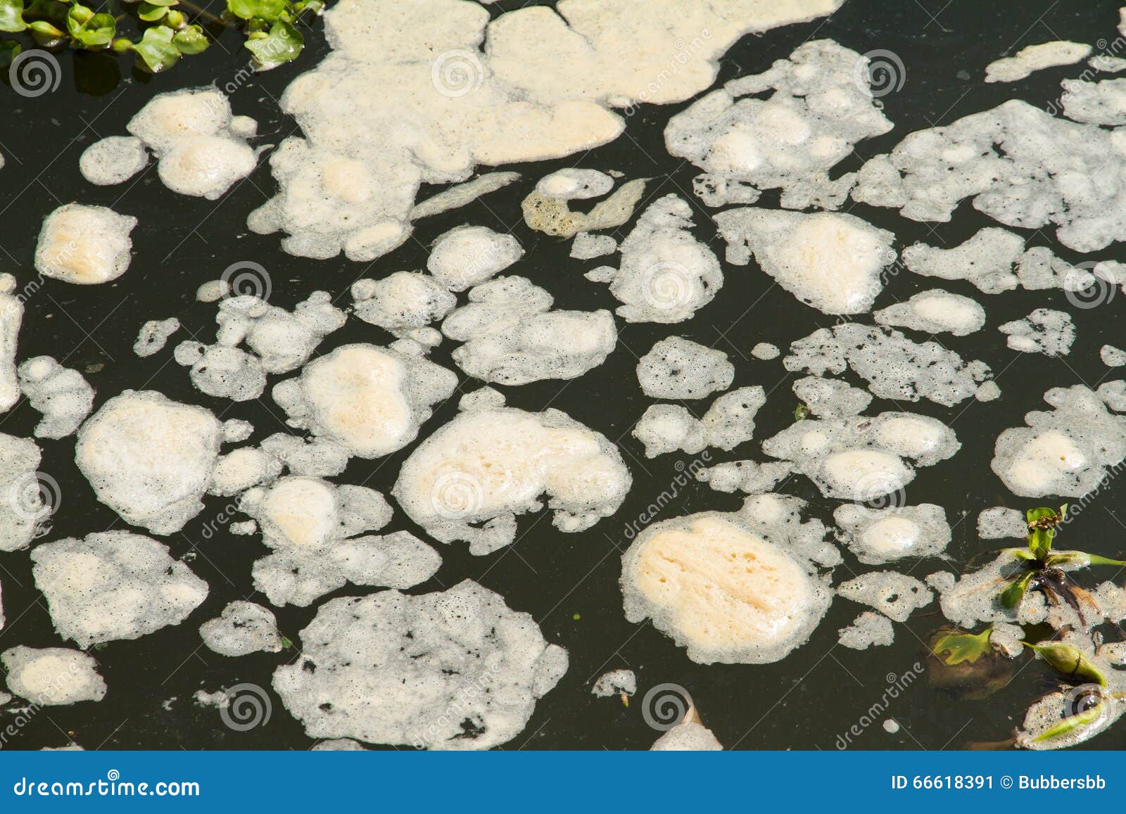 Dirty Toxic Scum Industry Effluent Water in the River Stock Image ...