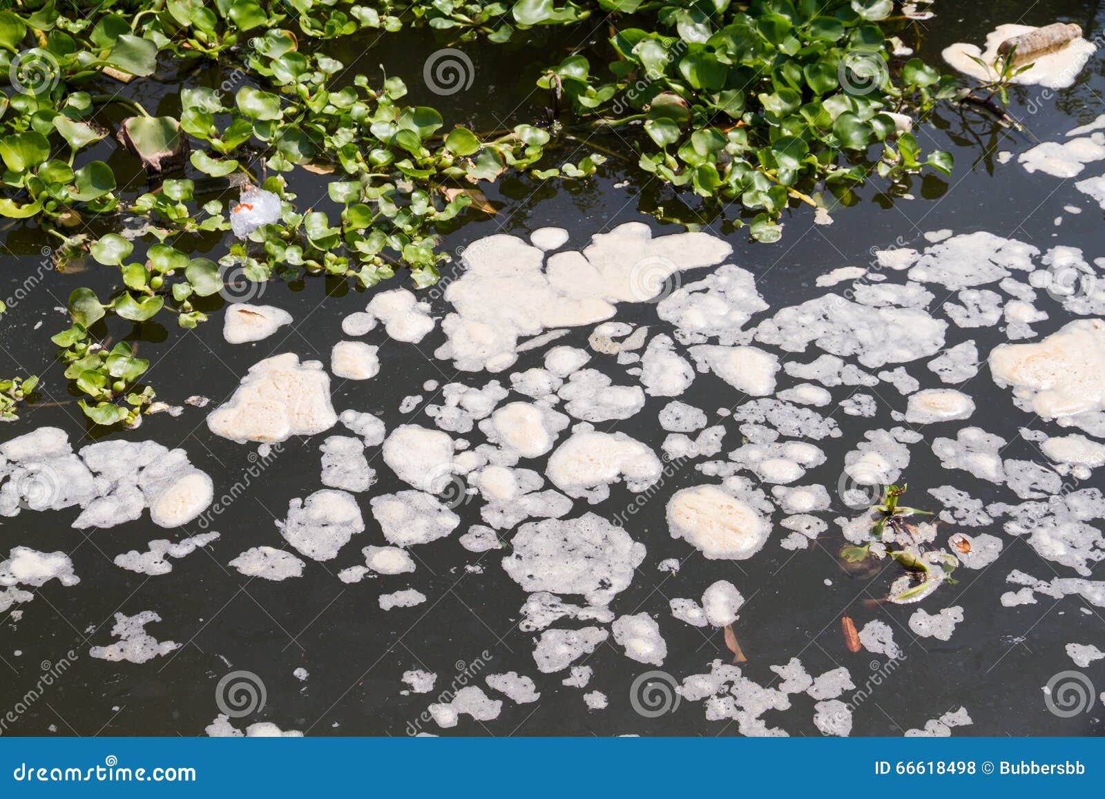 Dirty Toxic Scum Industry Effluent Water in the River Stock Photo ...