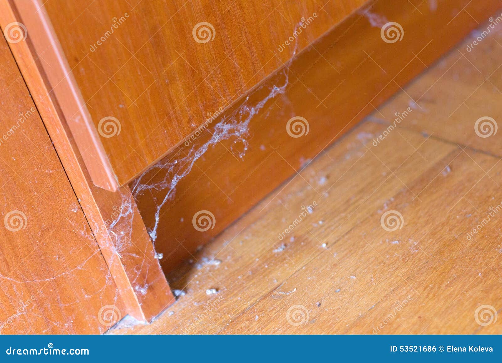 1,113 Dust Cobwebs Stock Photos - Free & Royalty-Free Stock Photos from ...