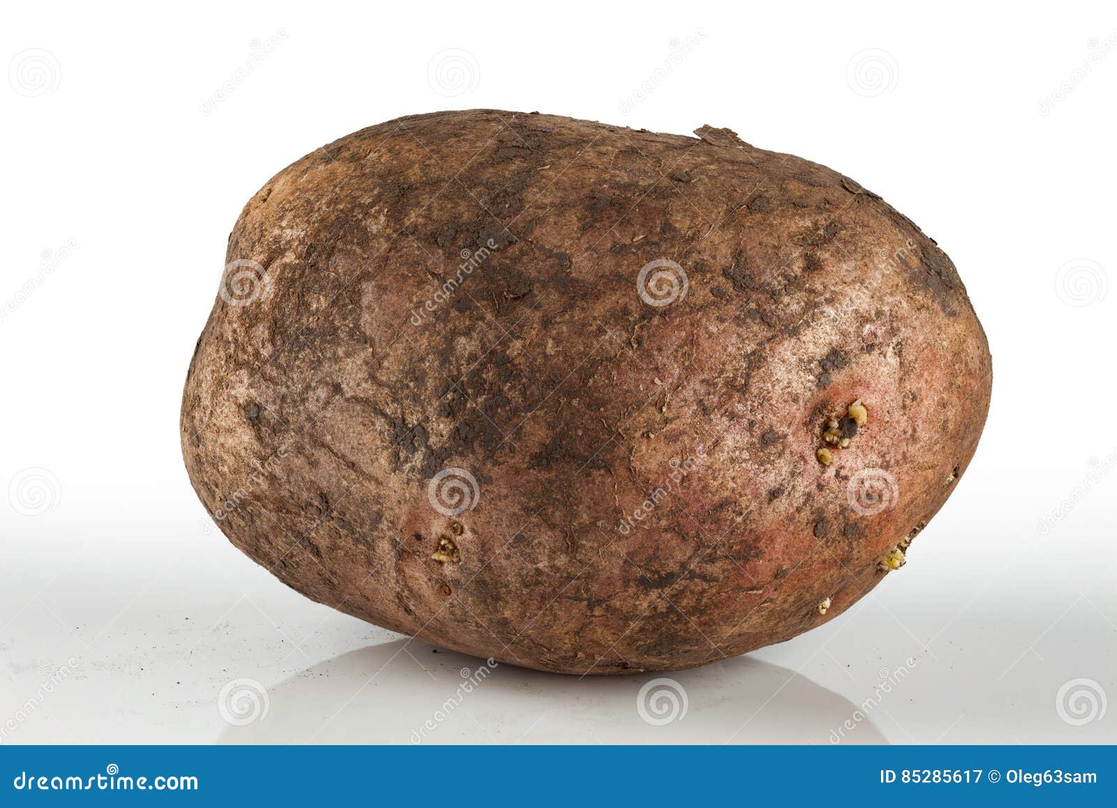 Dirty, unwashed potato stock image. Image of ingredient - 85285617