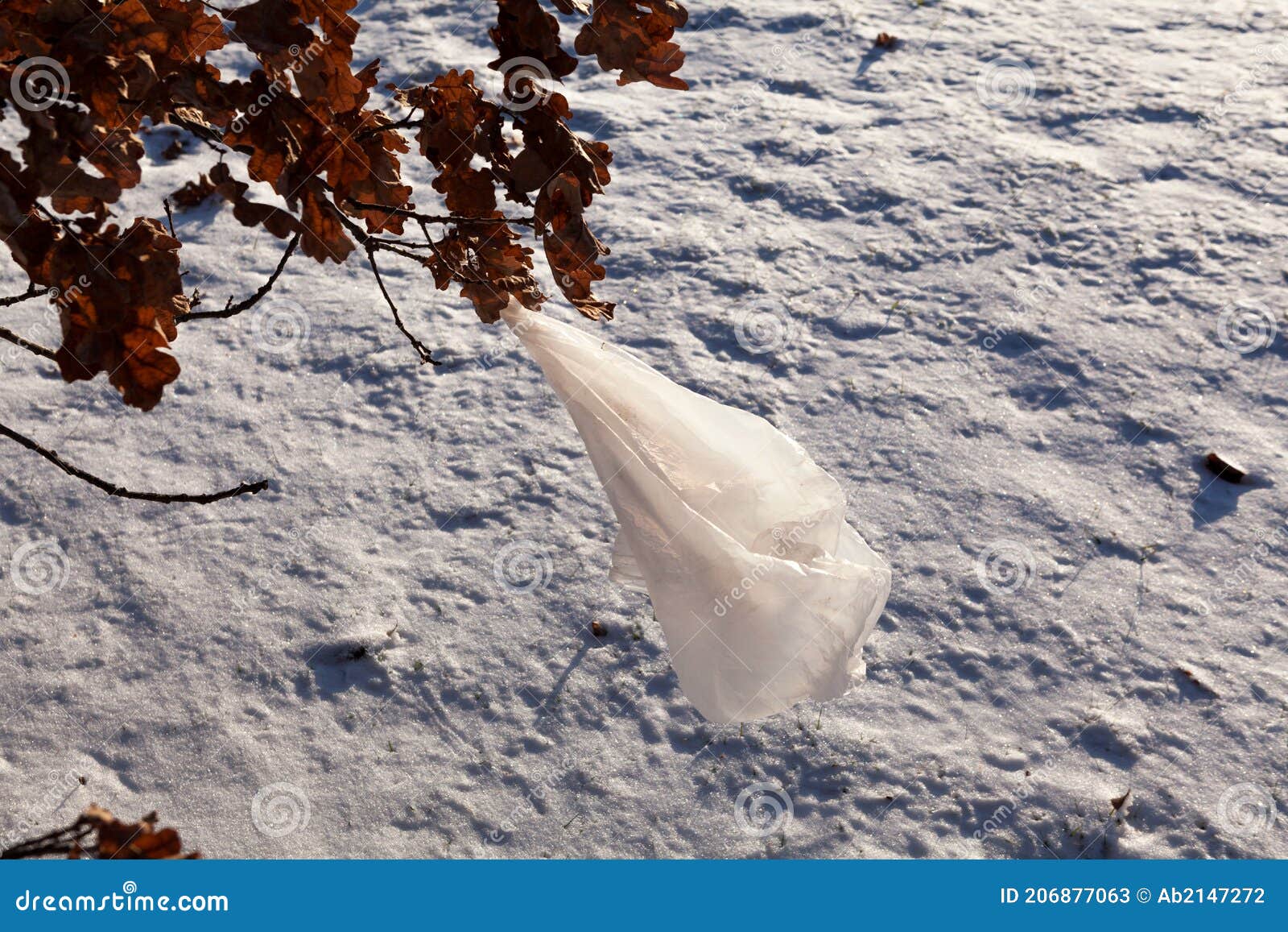 Dirty Used Plastic Bag Caught on Tree Branch in Park. Problem of ...
