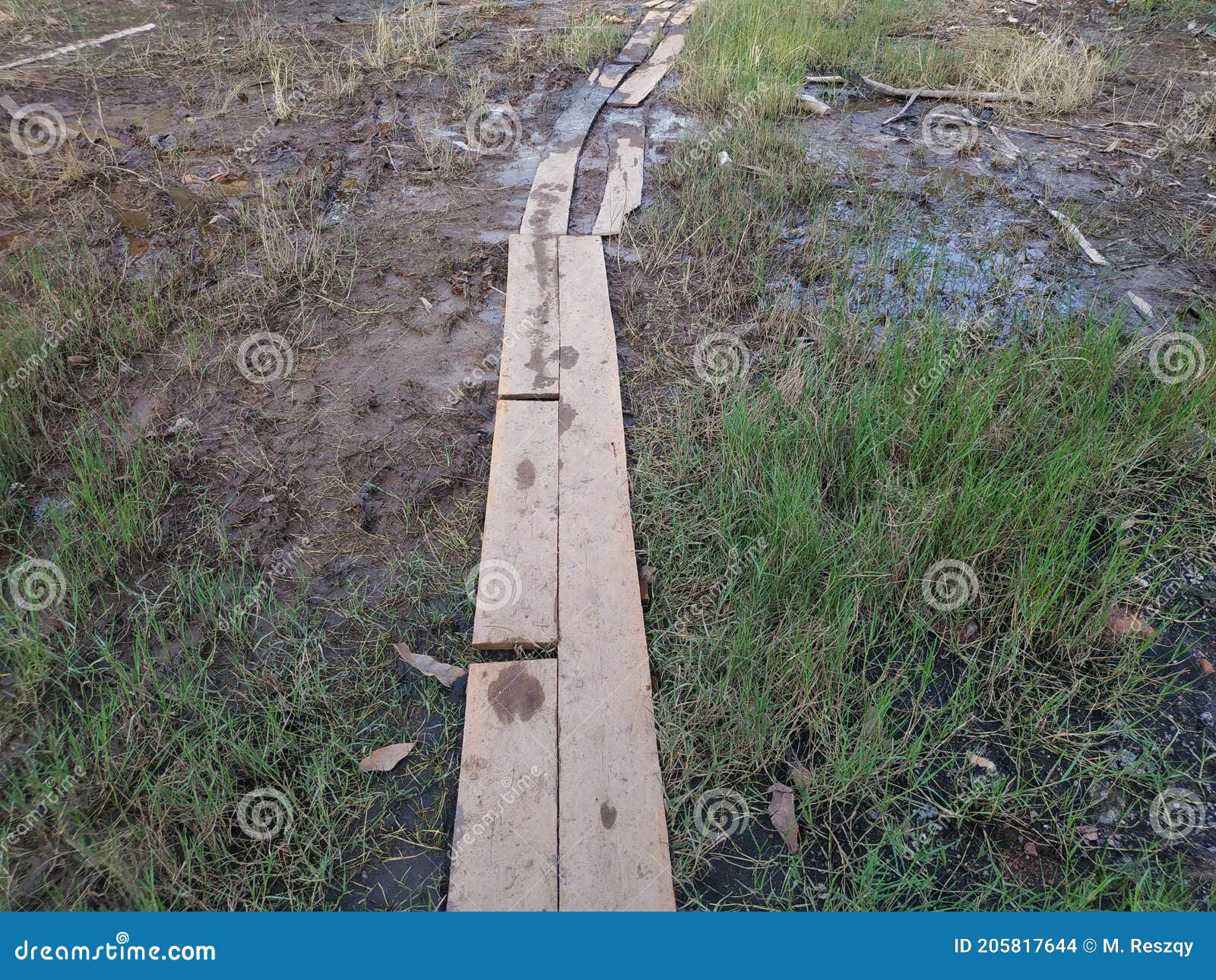 The dirty walkway stock photo. Image of grass, walk - 205817644