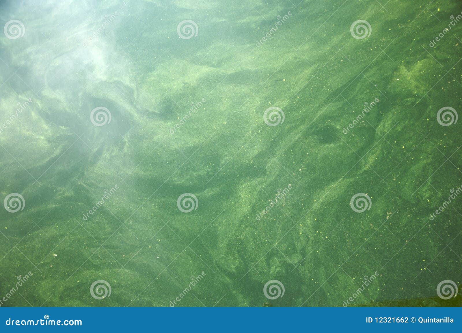 Dirty water stock photo. Image of river, water, nature - 12321662