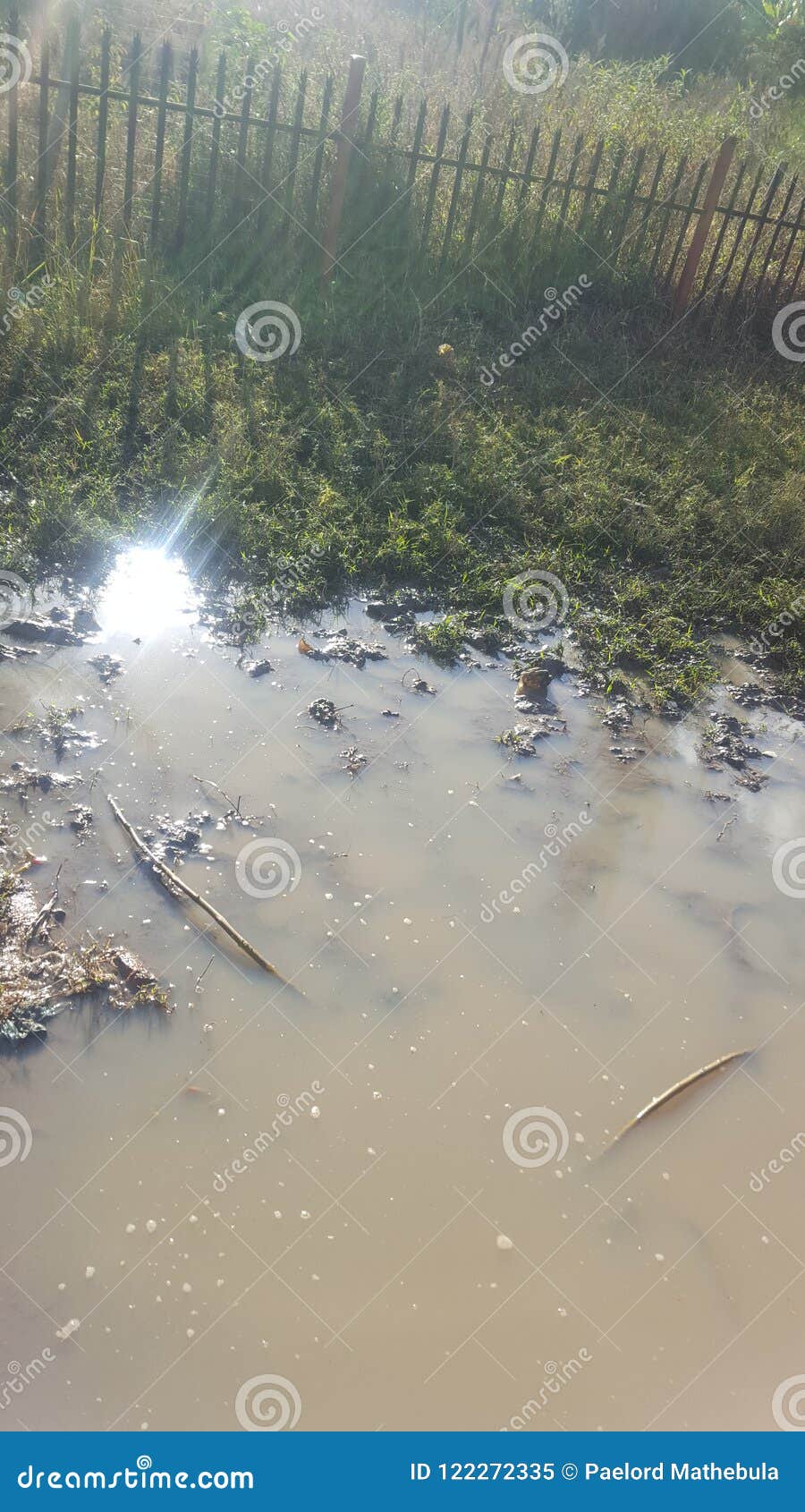 Water pollution stock image. Image of dirty, water, polluted - 122272335