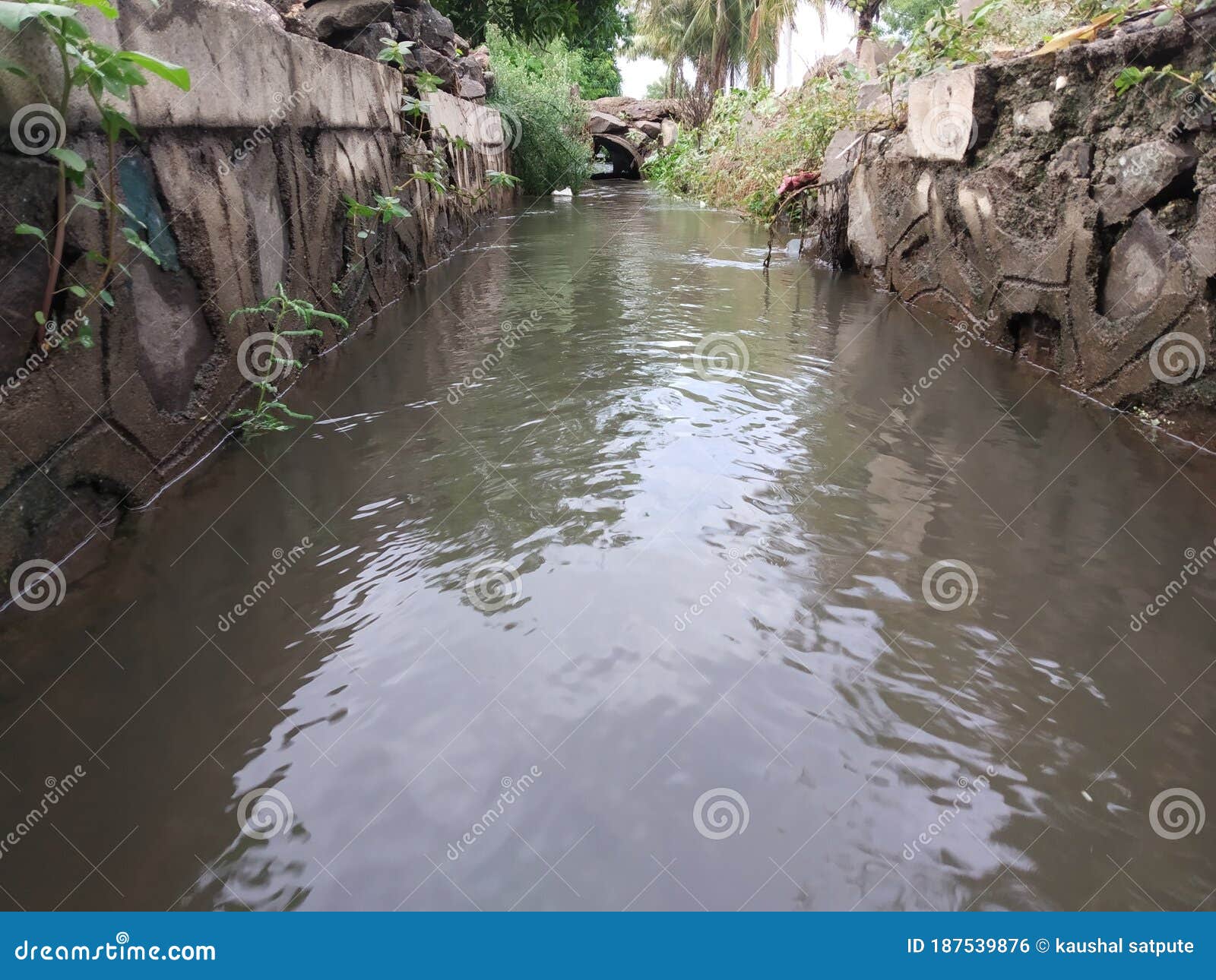 Dirty Water Flowing through Canal / Pipe Stock Photo - Image of stream ...