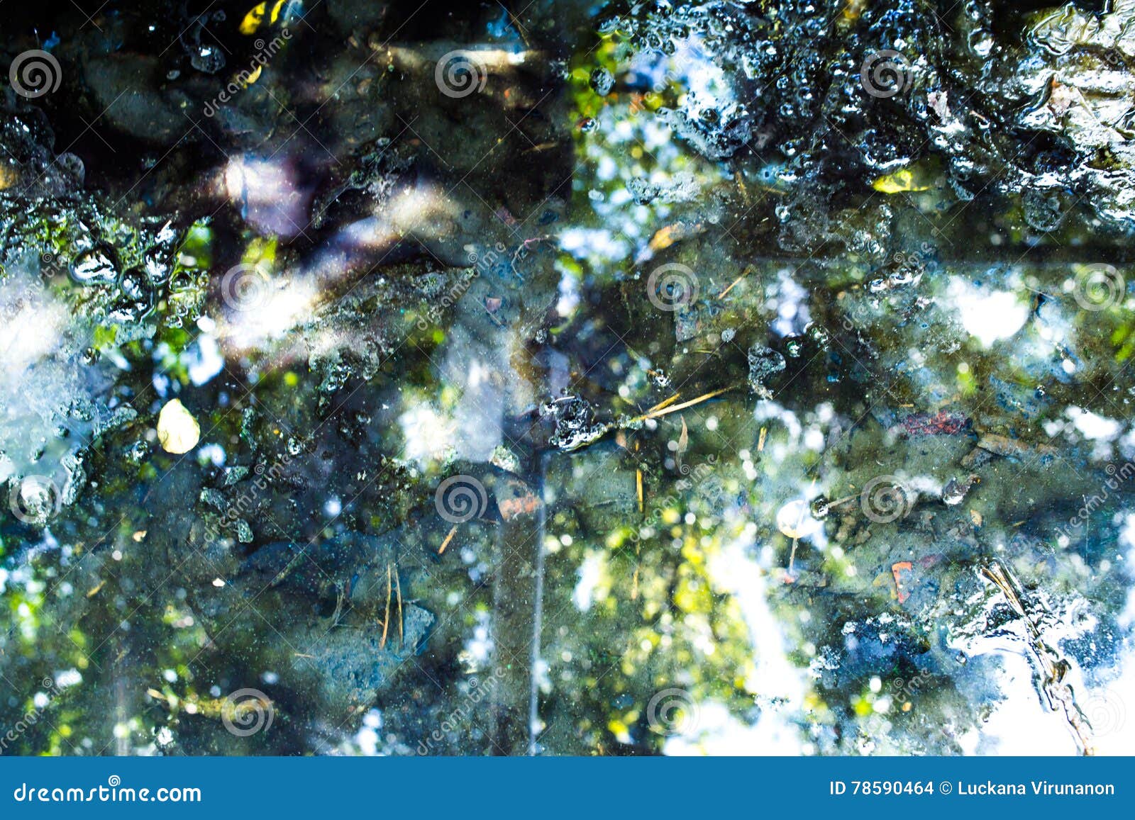 Dirty water, moss stock photo. Image of abstract, ecology - 78590464