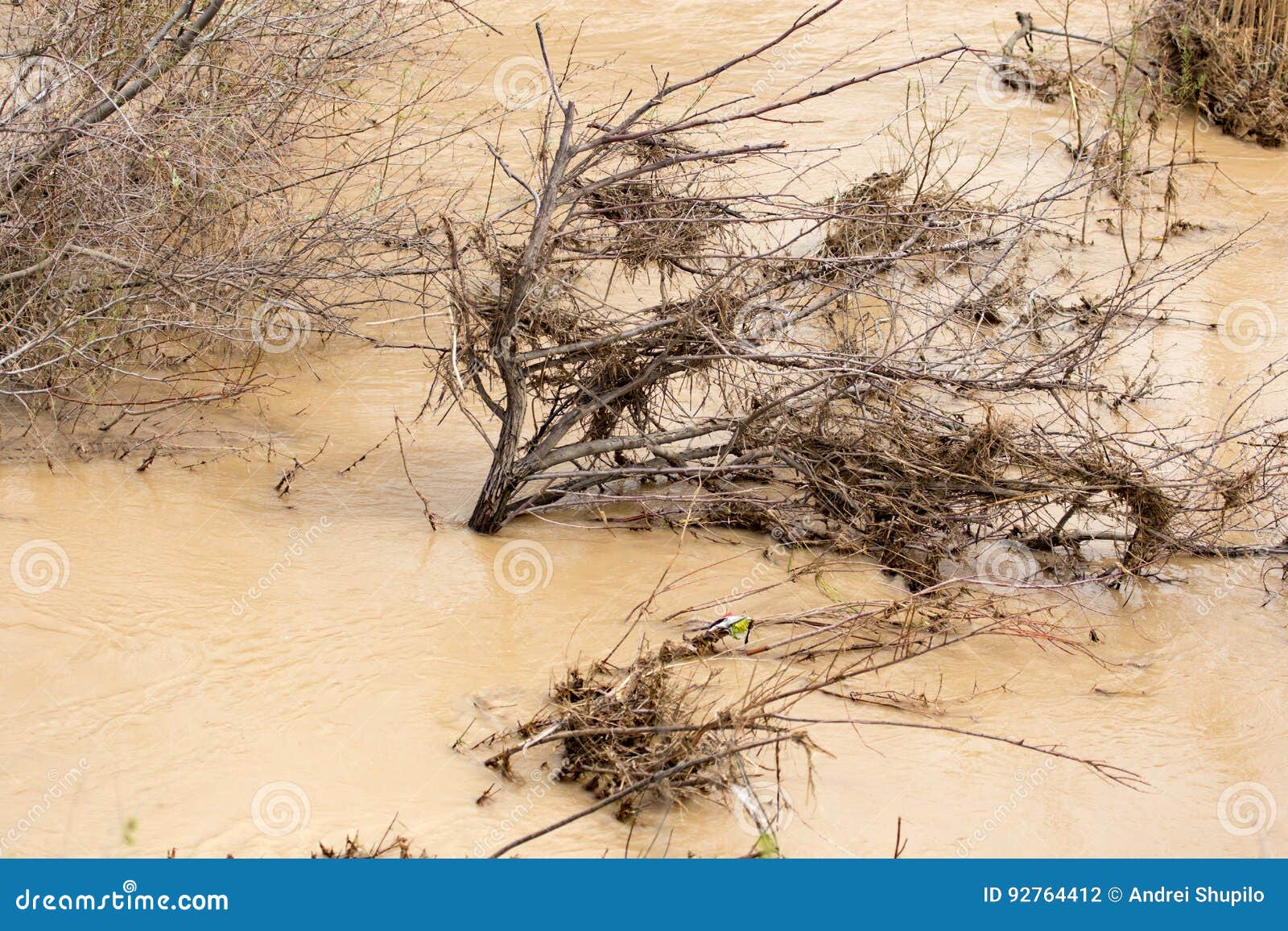 Dirty Water on Nature in the Spring Stock Photo - Image of pollution ...