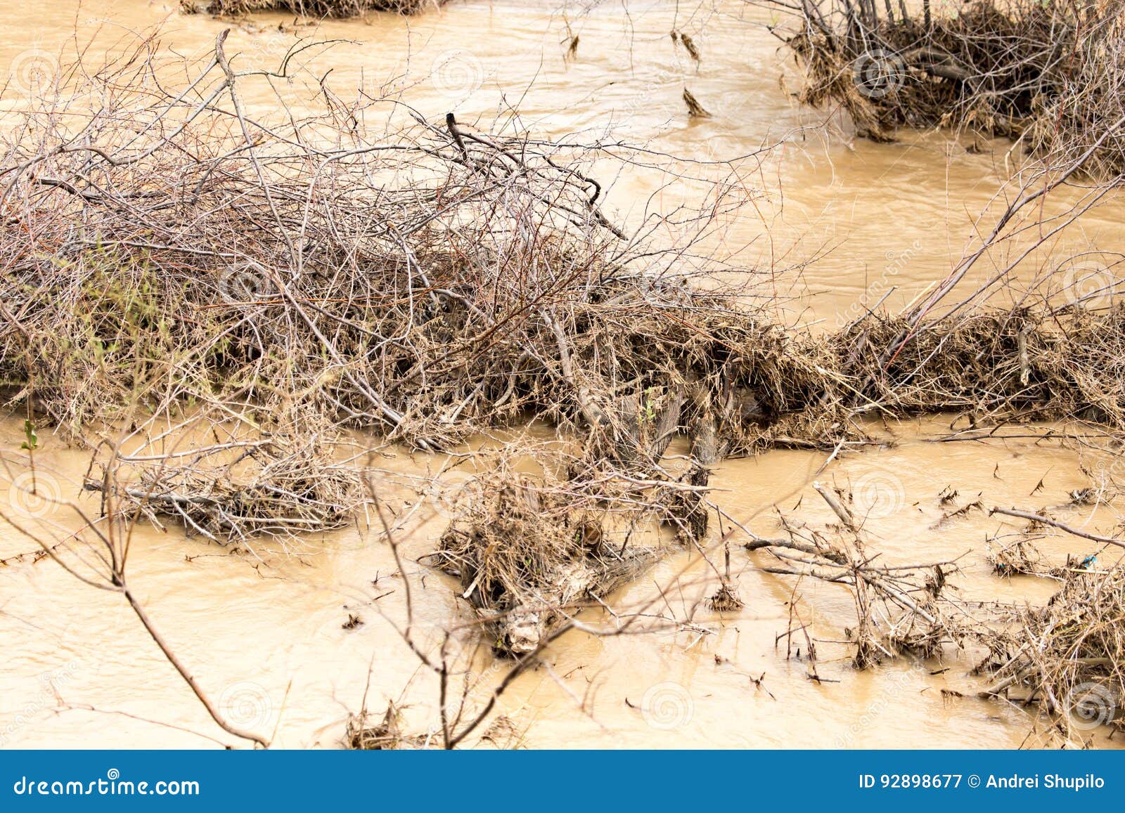 Dirty Water on Nature in the Spring Stock Image - Image of nature ...