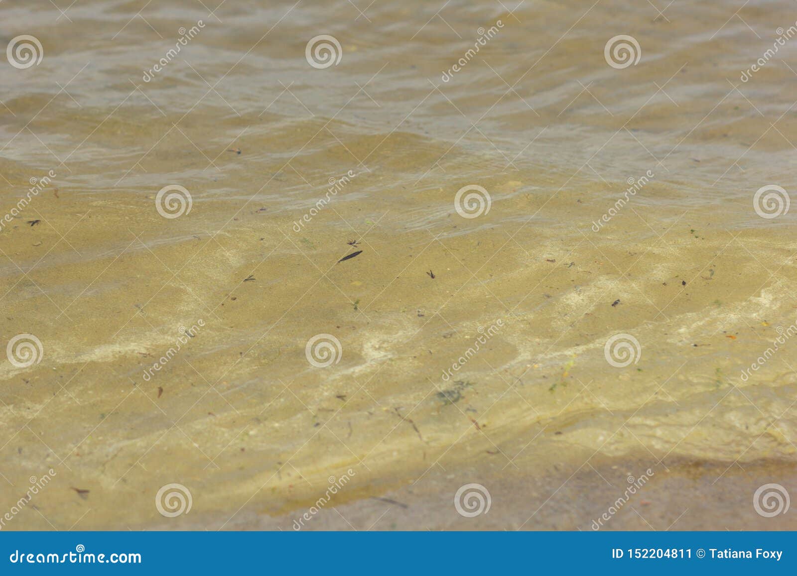 Dirty Water of River Washed by Waves. Pollution Environment Stock Image ...