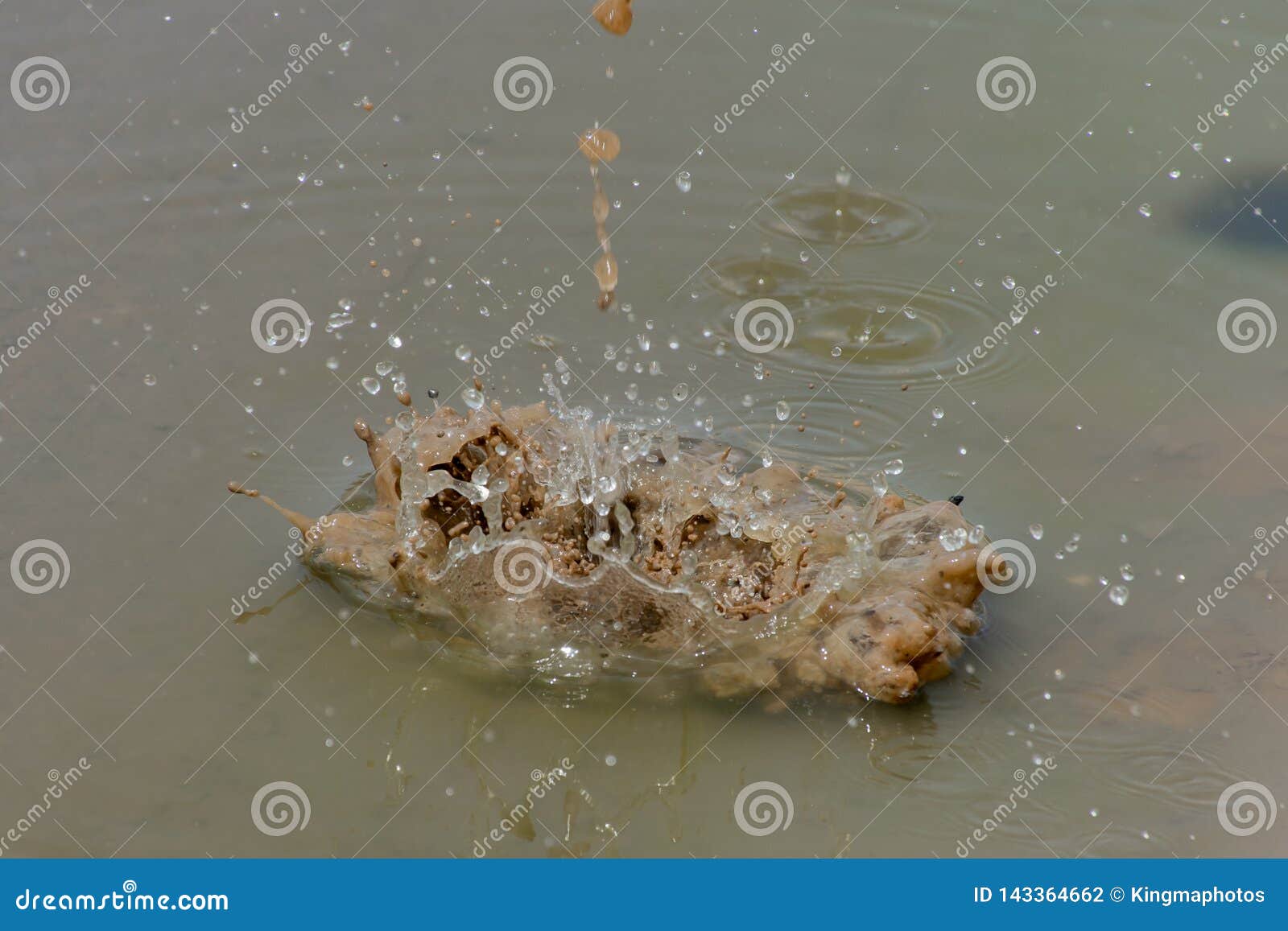 Dirty Muddly Water Splash in Puddle Stock Photo - Image of brown ...