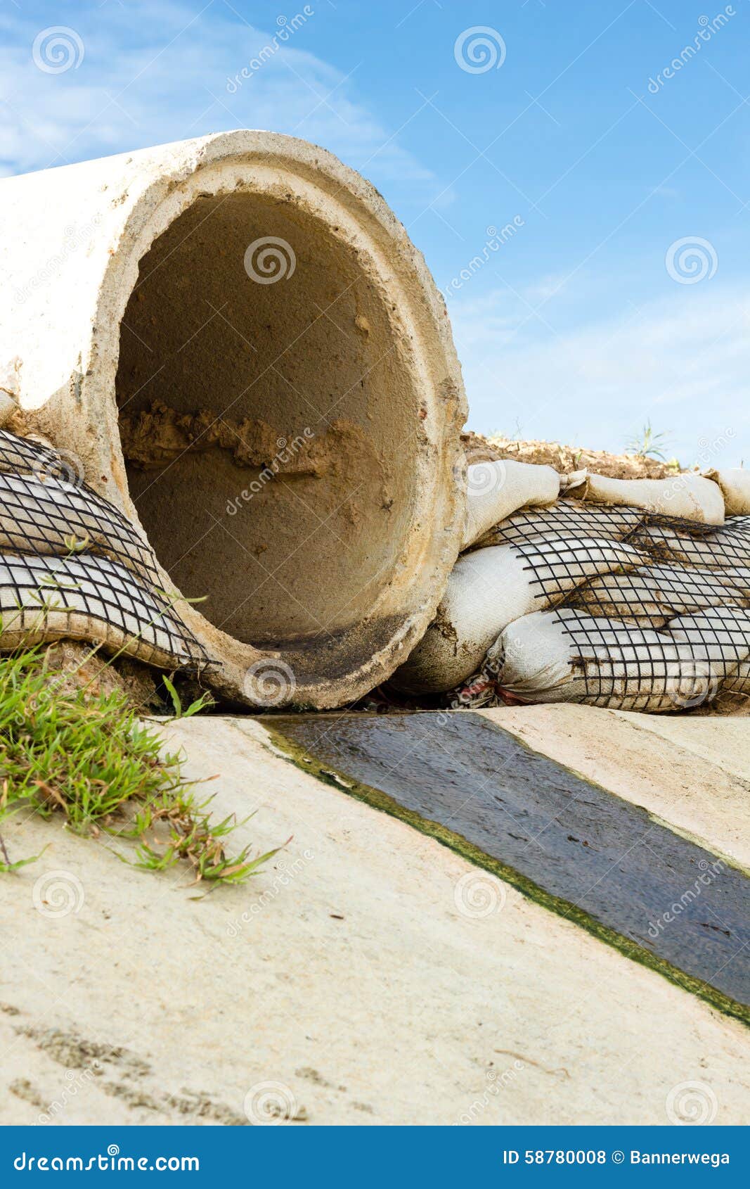 Dirty water stems stock photo. Image of nature, stream - 58780008