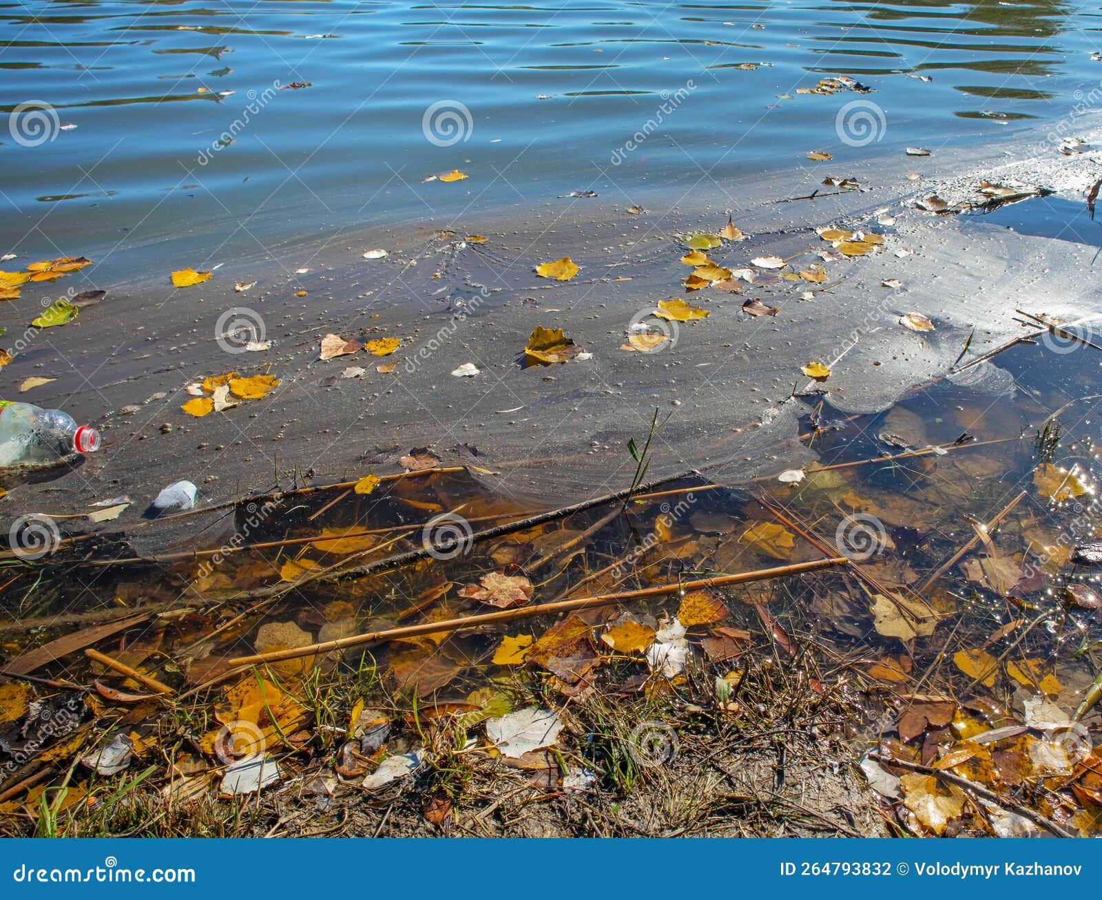 Dirty Water Surface Close-up Pollution of Water Bodies and the ...