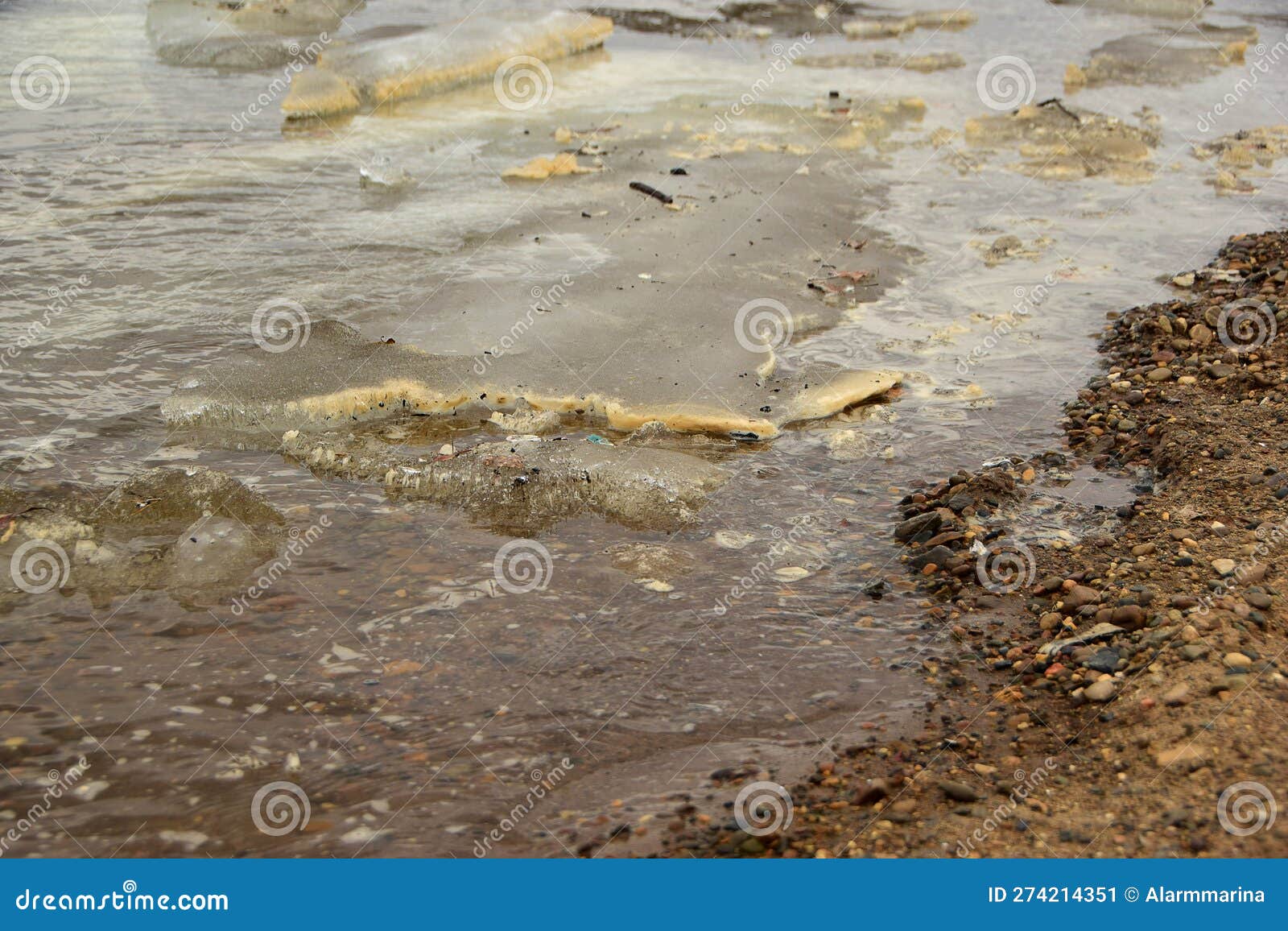 Dirty Wave with Old Dirty Seaweed. Dirty Sea, Environmental Pollution ...