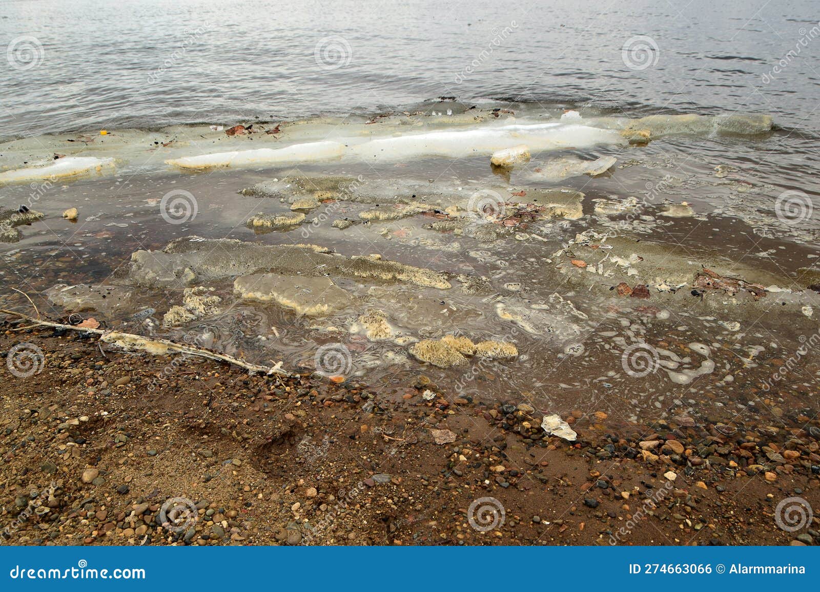 Dirty Wave with Old Dirty Seaweed. Dirty Sea, Environmental Pollution ...