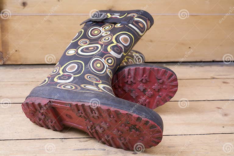 Dirty Wellies stock photo. Image of dirty, dusty, shoes - 8059942