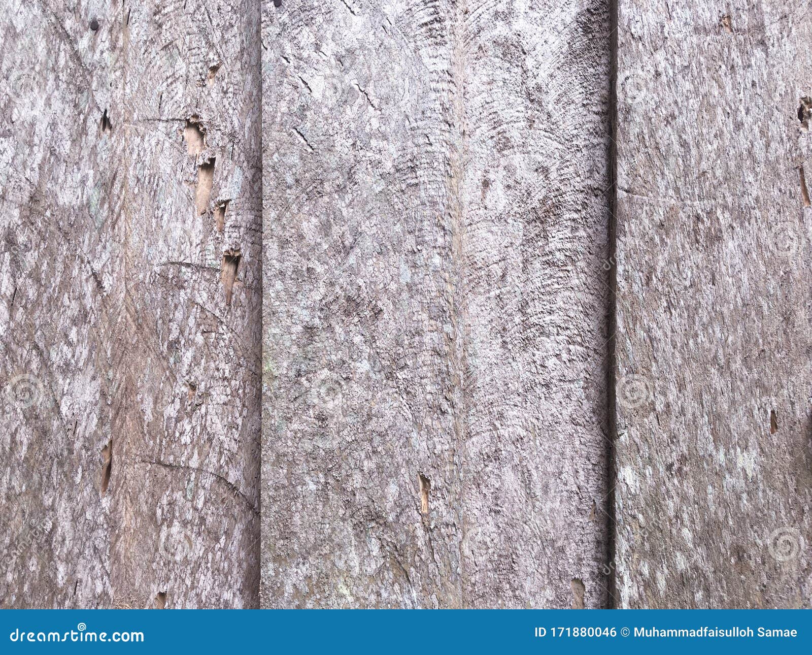 Dirty Wooden Texture Use As Natural Background for Design Stock Photo ...