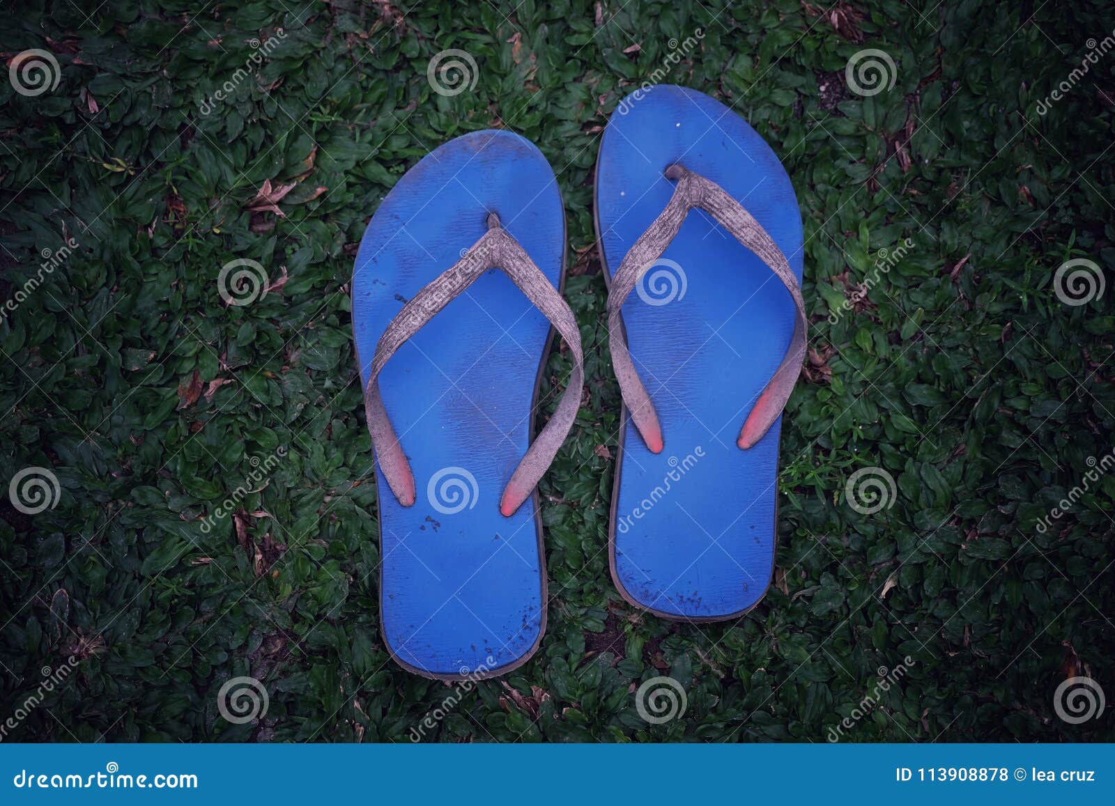 Wornout Slippers stock photo. Image of hardship, pair - 113908878