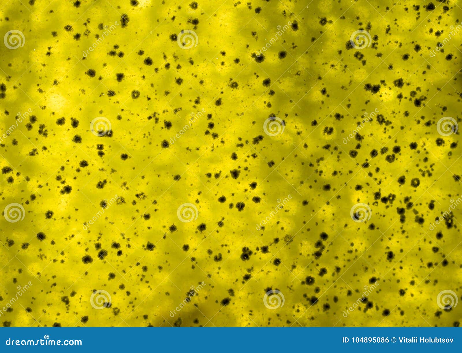Dirty yellow background. stock photo. Image of materials - 104895086