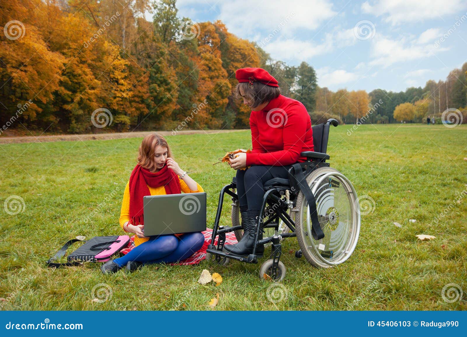 Disability stock image. Image of park, autumn, laptop - 45406103