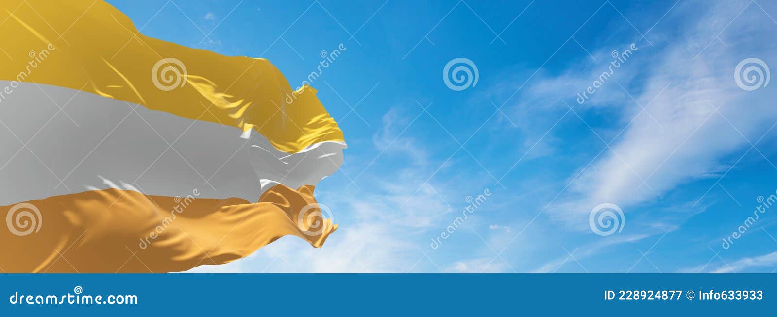 Disability Flag, Overcoming Flag or Flag of the Rights of Persons with ...