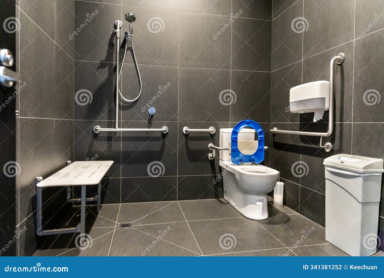 Disability Friendly Generic Restroom Sanitary with Hand Rails and Bars ...