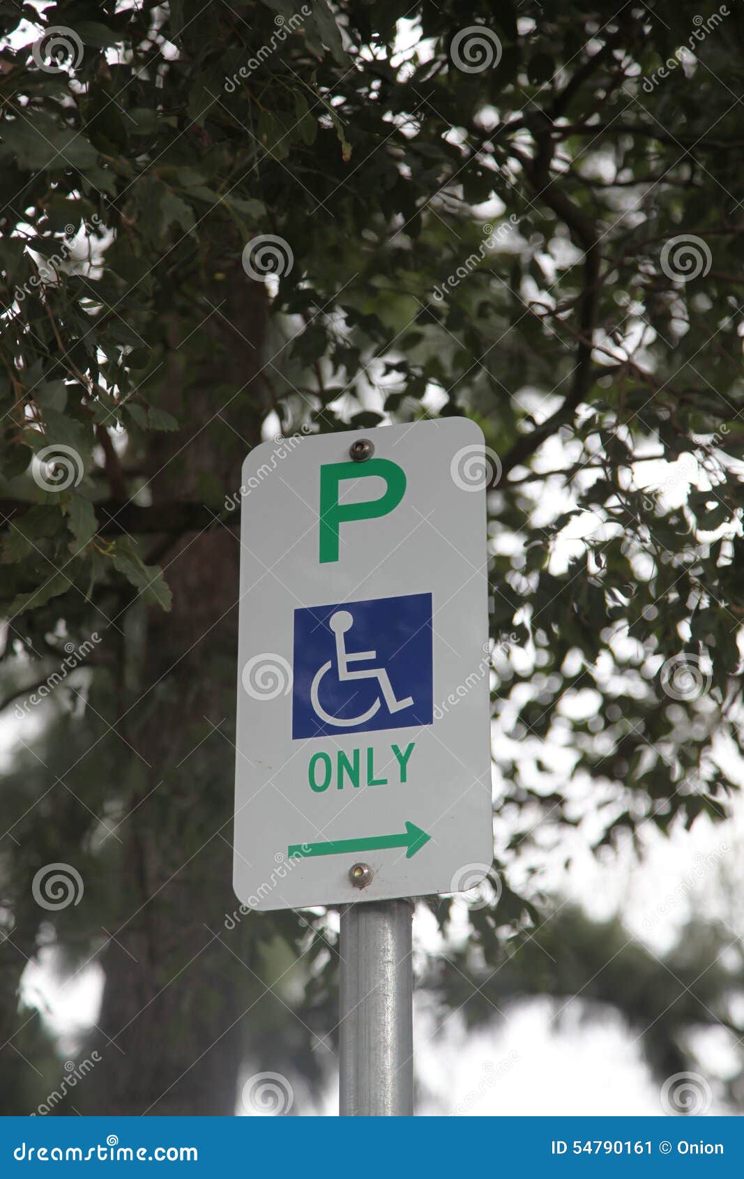 Disability parking sign stock image. Image of sign, disability - 54790161