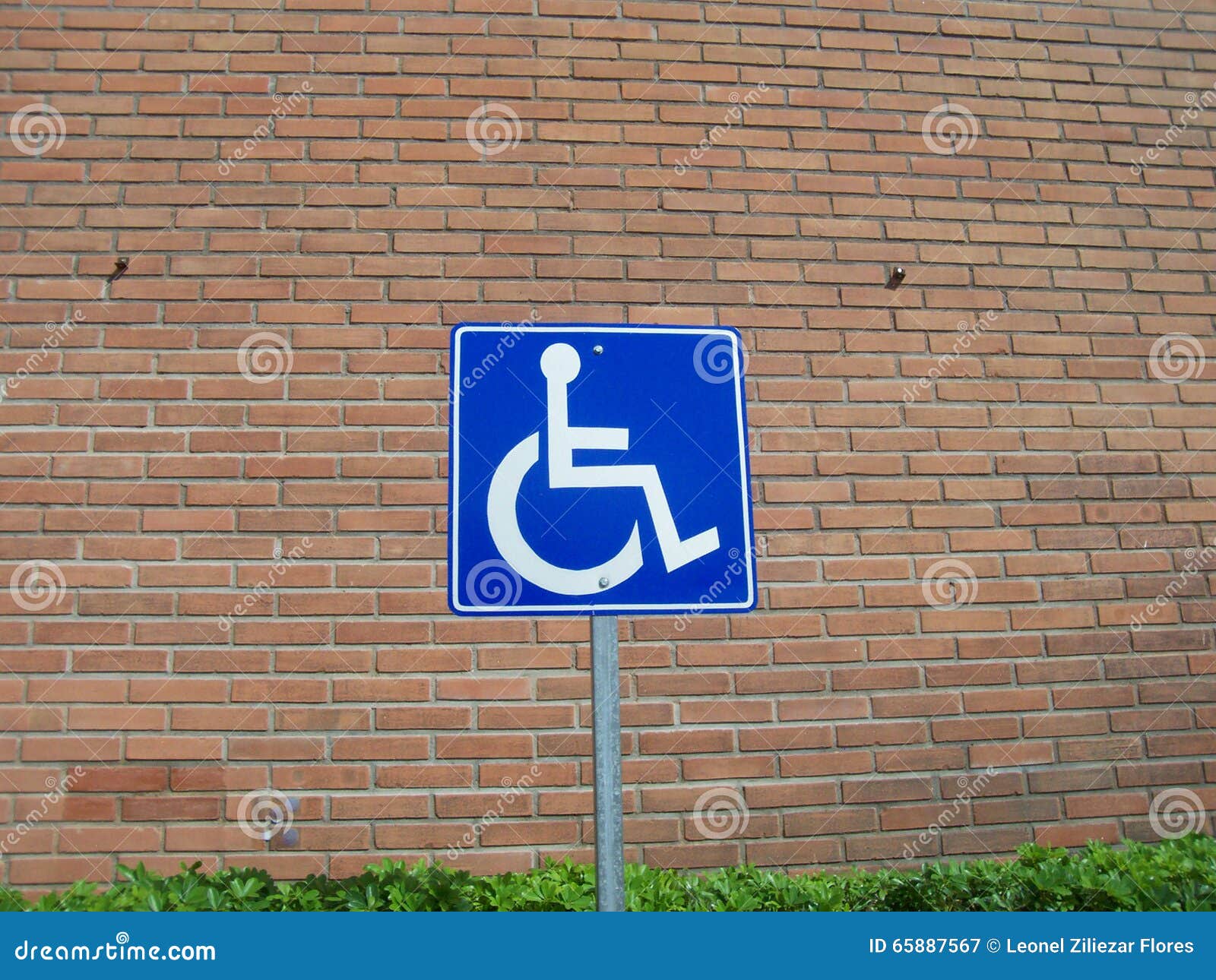 Disability parking sign stock image. Image of disability - 65887567