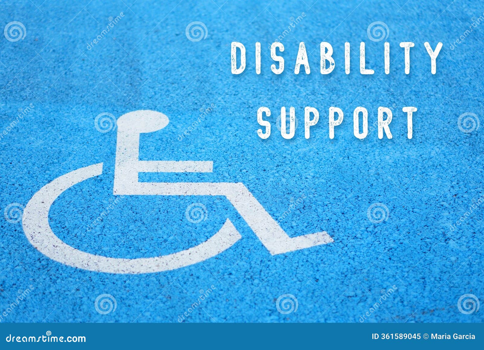 Disability Support. Text Written Next To a Disability Icon on the ...
