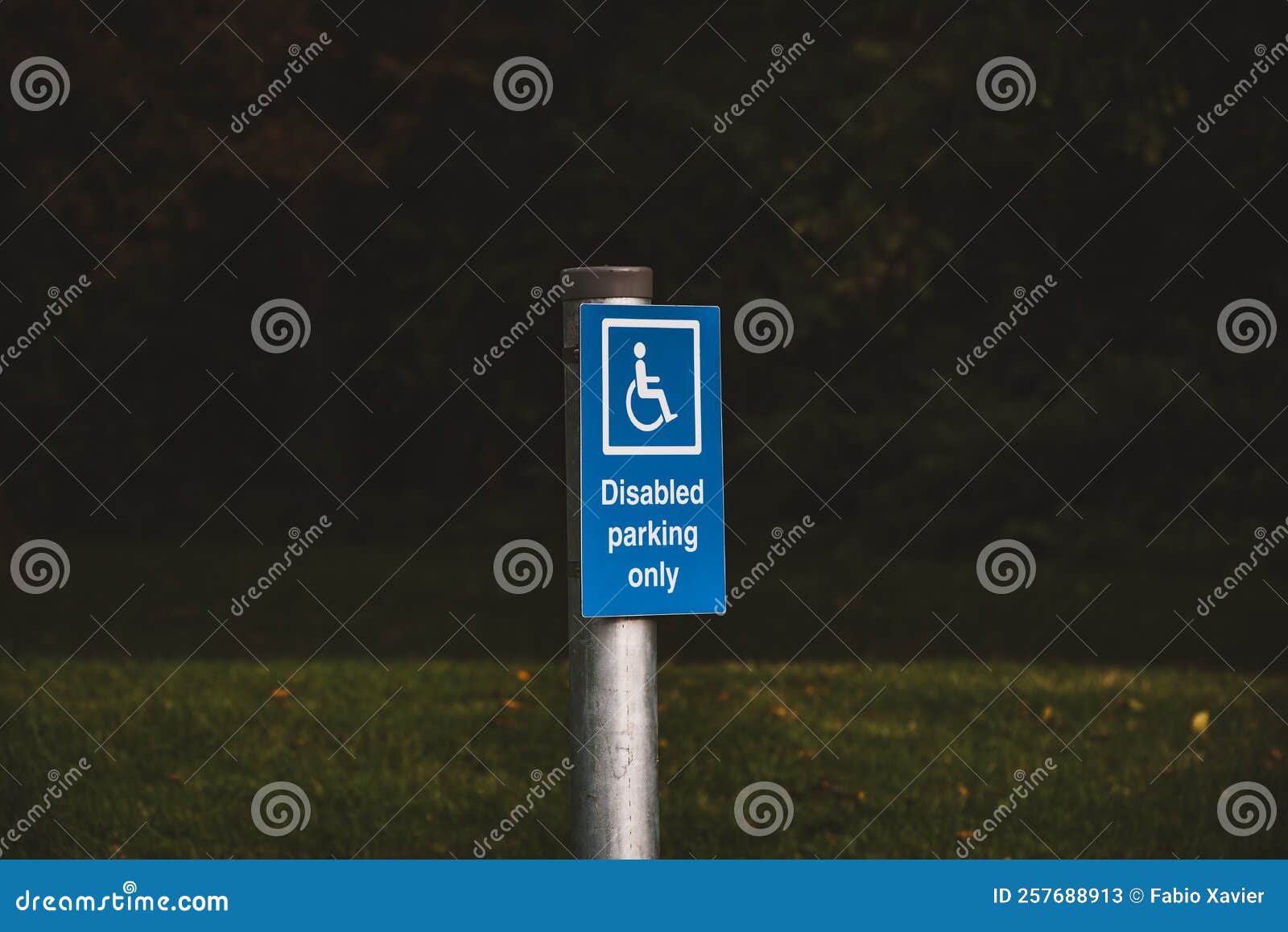 Disable park only stock image. Image of permit, disabled - 257688913