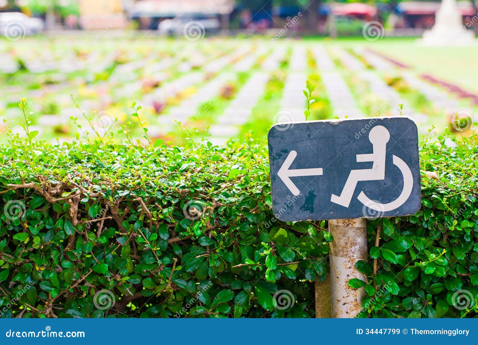 Disable Sign Stock Photography | CartoonDealer.com #6243968 Disable Sign Stock Photography | CartoonDealer.com #6243968
