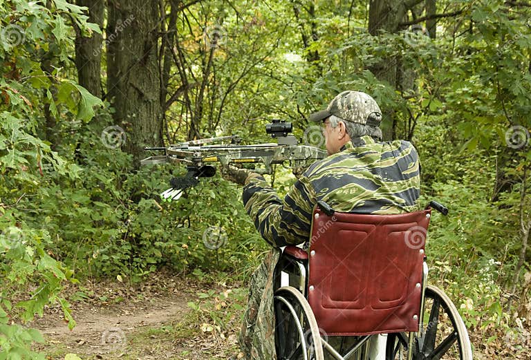 Disabled hunter stock image. Image of hunter, trees, woods - 22406123