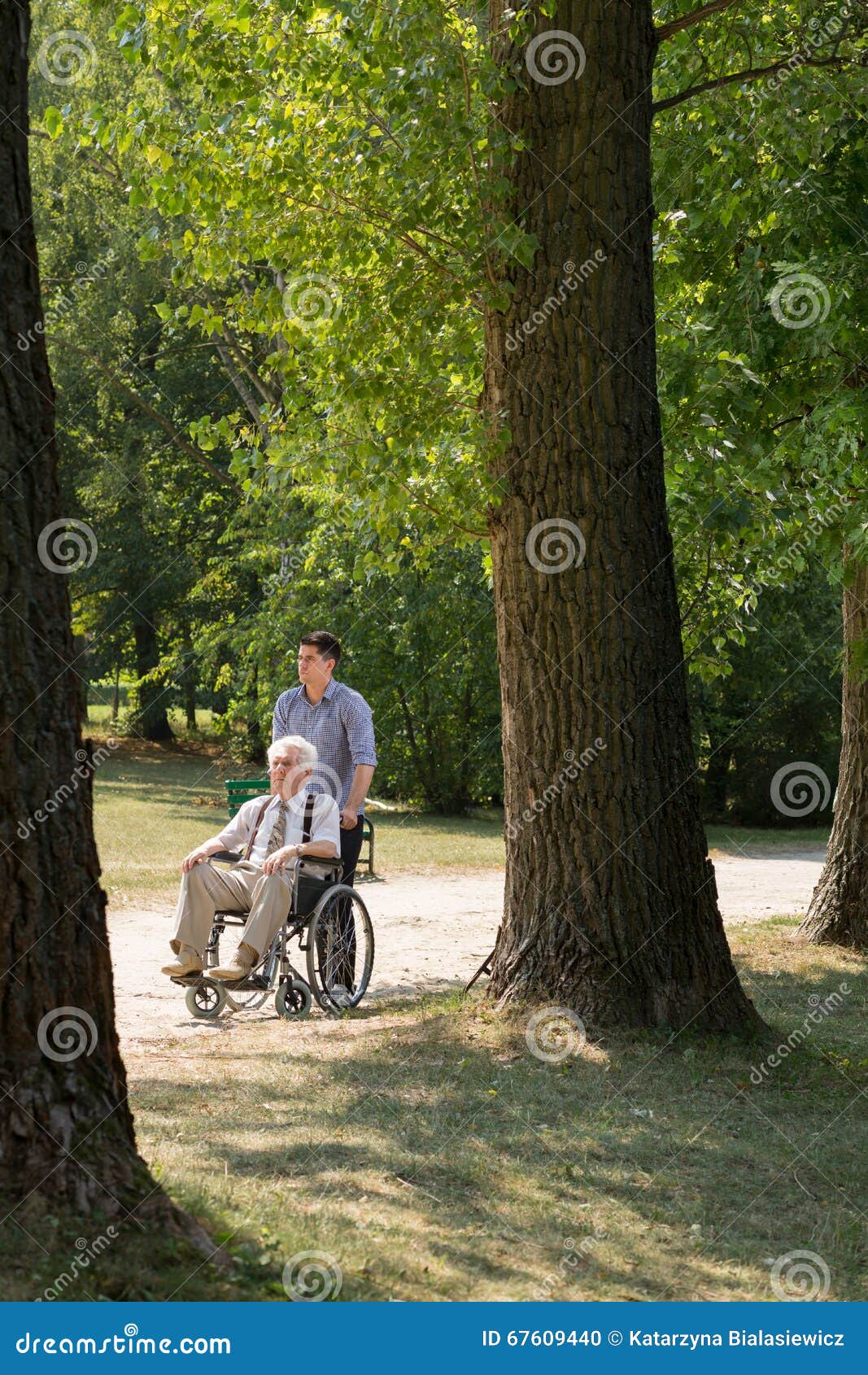Disabled man in the park stock photo. Image of summer - 67609440