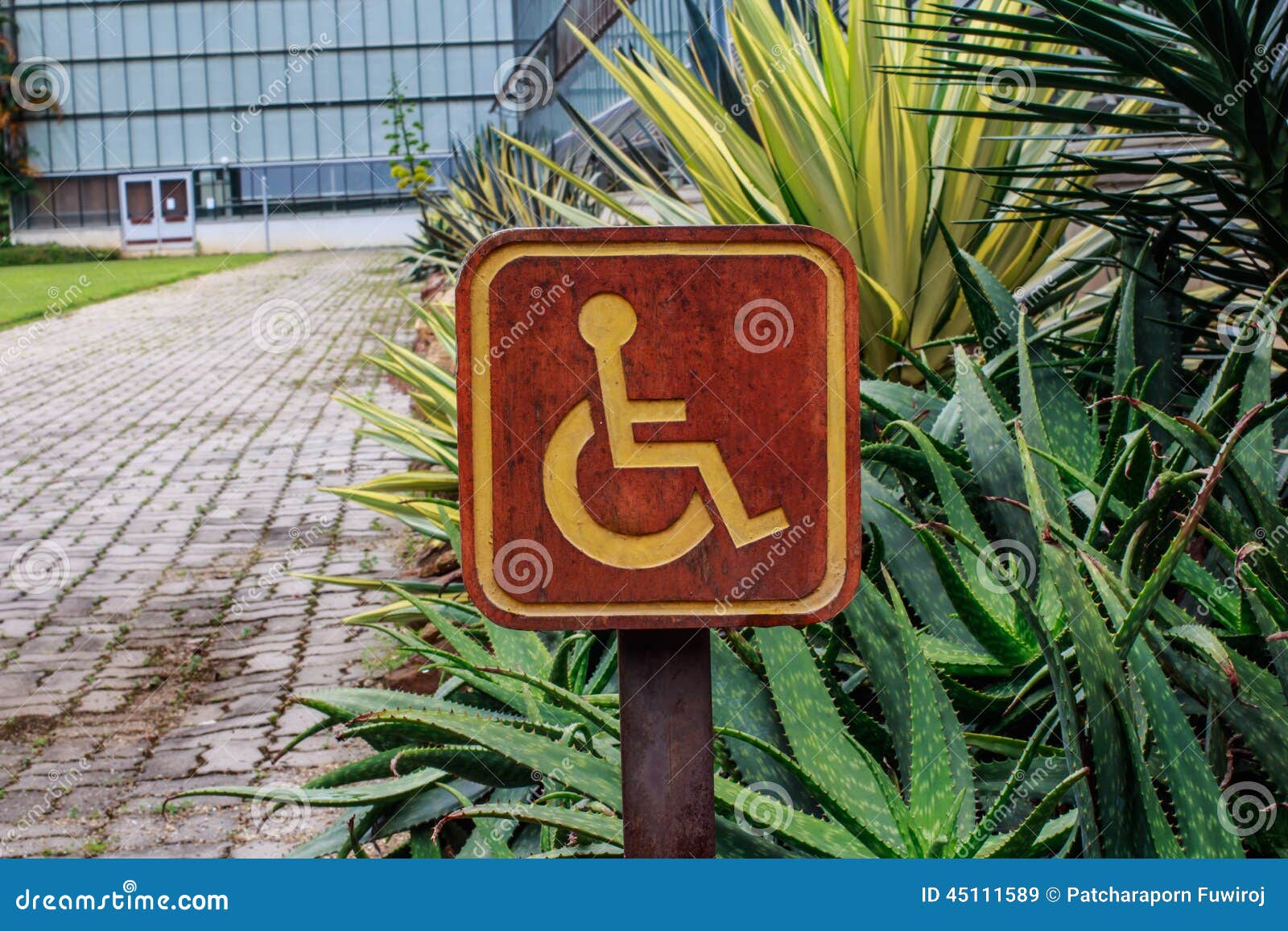 The disabled stock image. Image of inclusion, person - 45111589